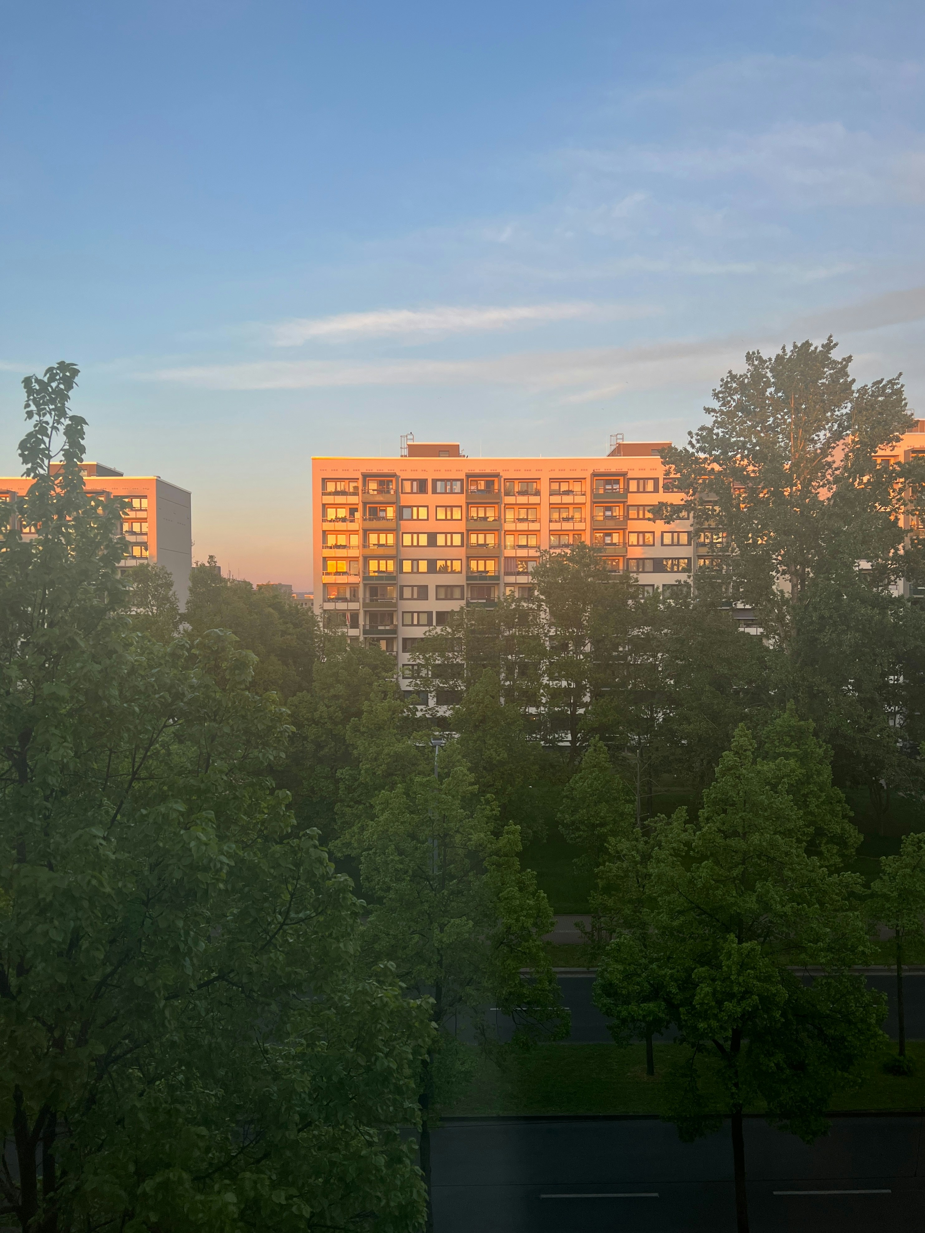 Sunlit apartment block rising above a canopy at dusk