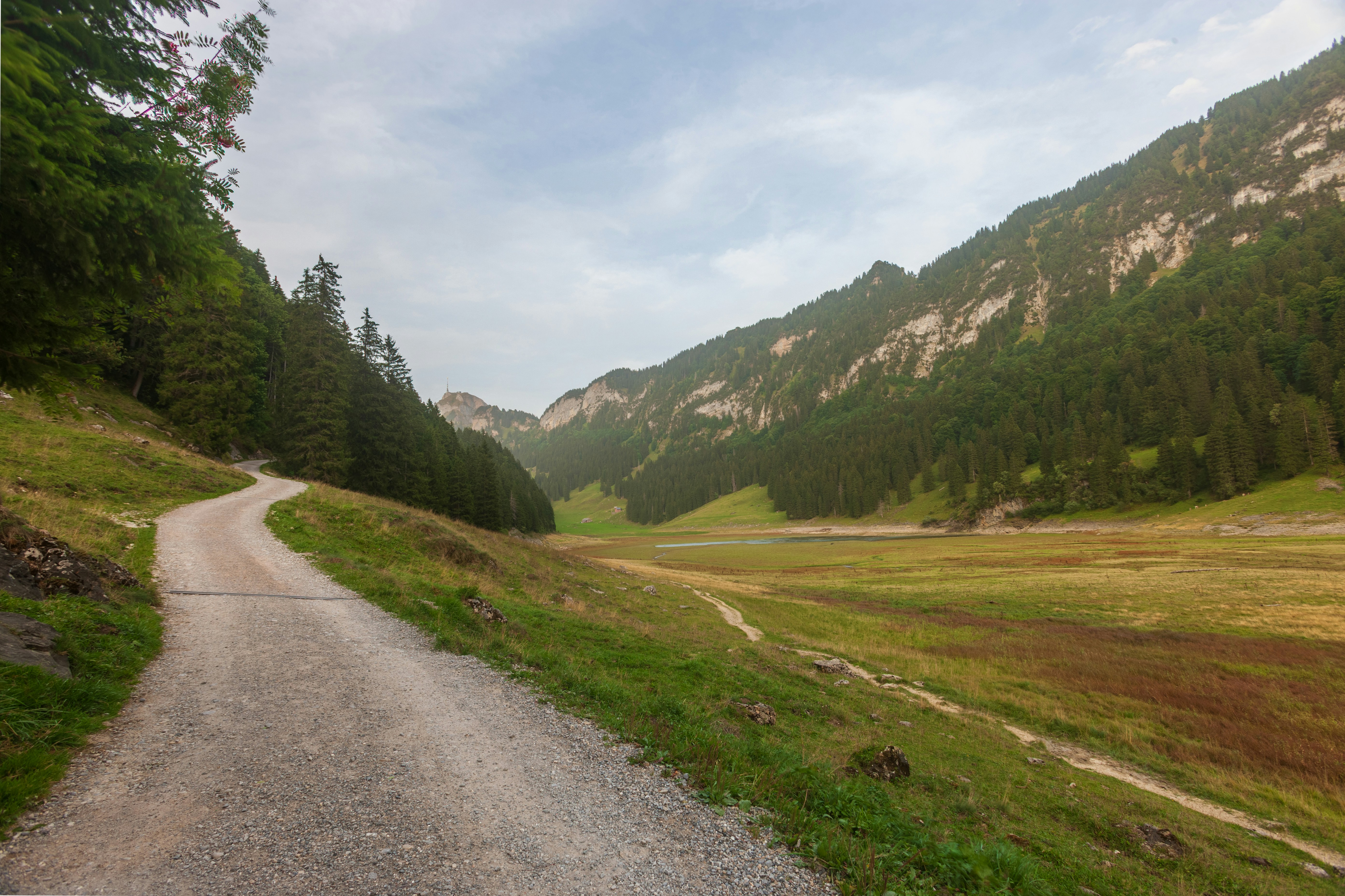 A gravel path winds through a grassy alpine valley with forested slopes and distant mountains under a soft sky.