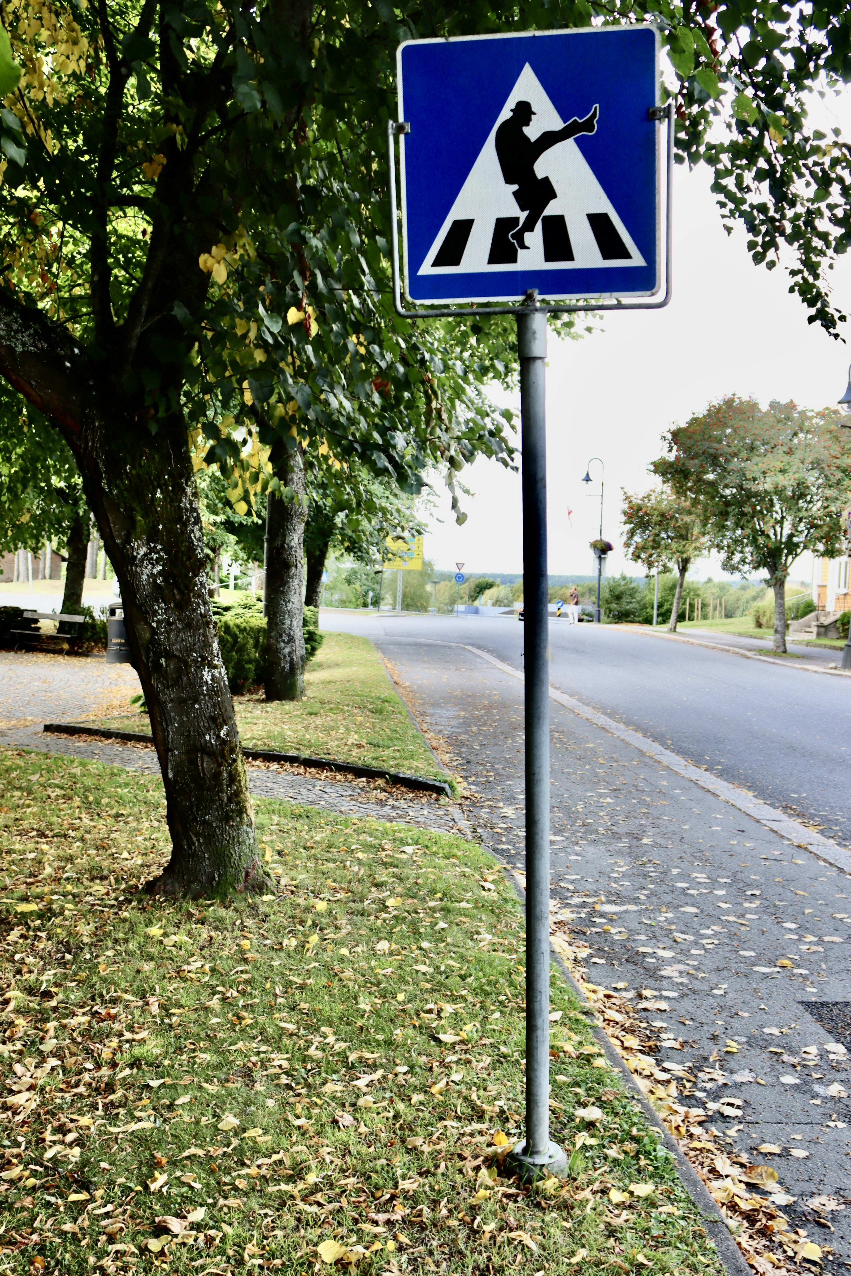 Crosswalk Sentinel: A Quiet Street Sign in Autumn Light