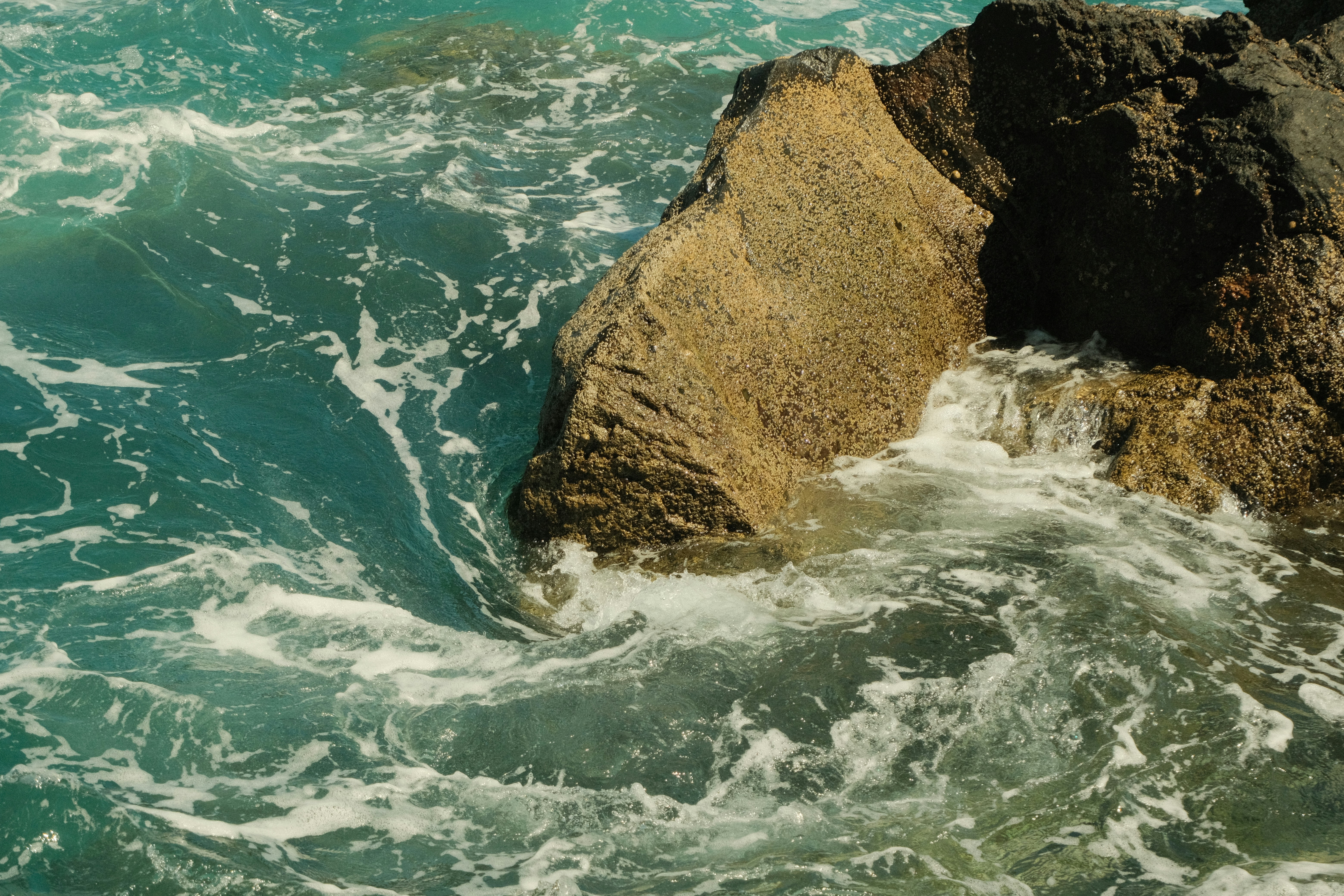 Rugged Coastal Confluence: Sunlit Rock Meets Turbulent Tide