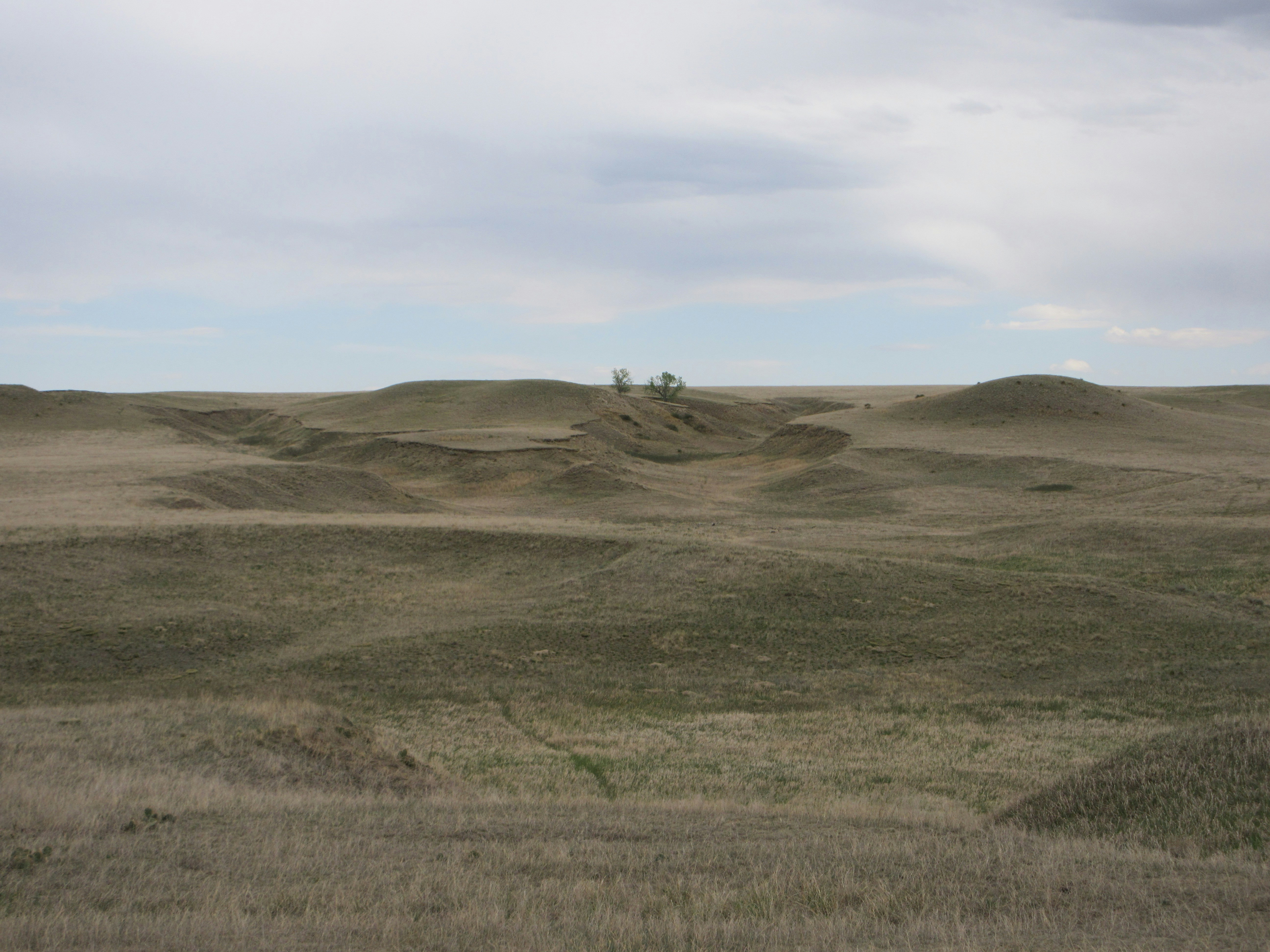Horizon of Gentle Ridges: A Quiet Prairie Under Wide Sky