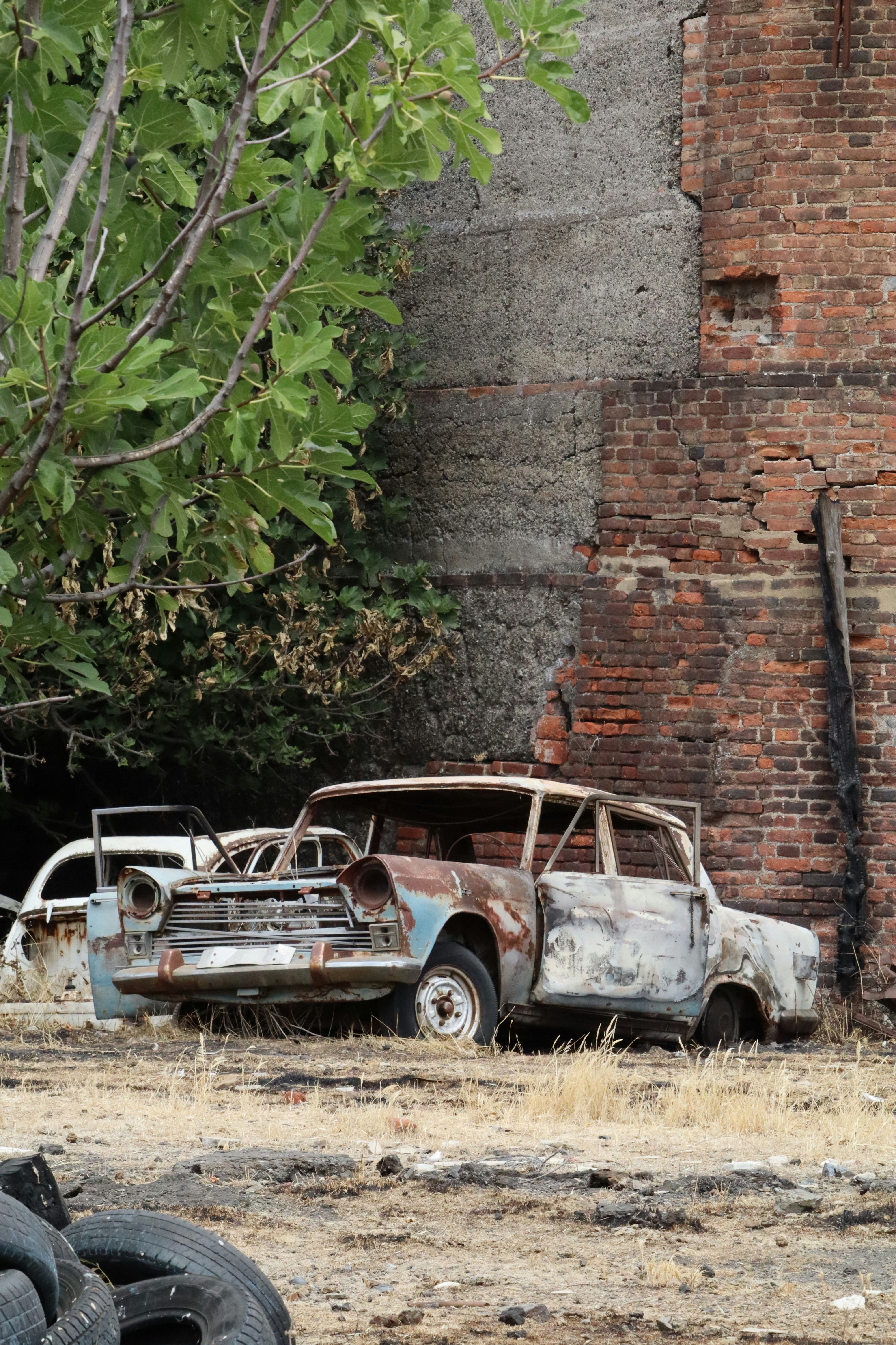 Rusting Echoes: Abandoned Sedans in a Brick-Walled Yard