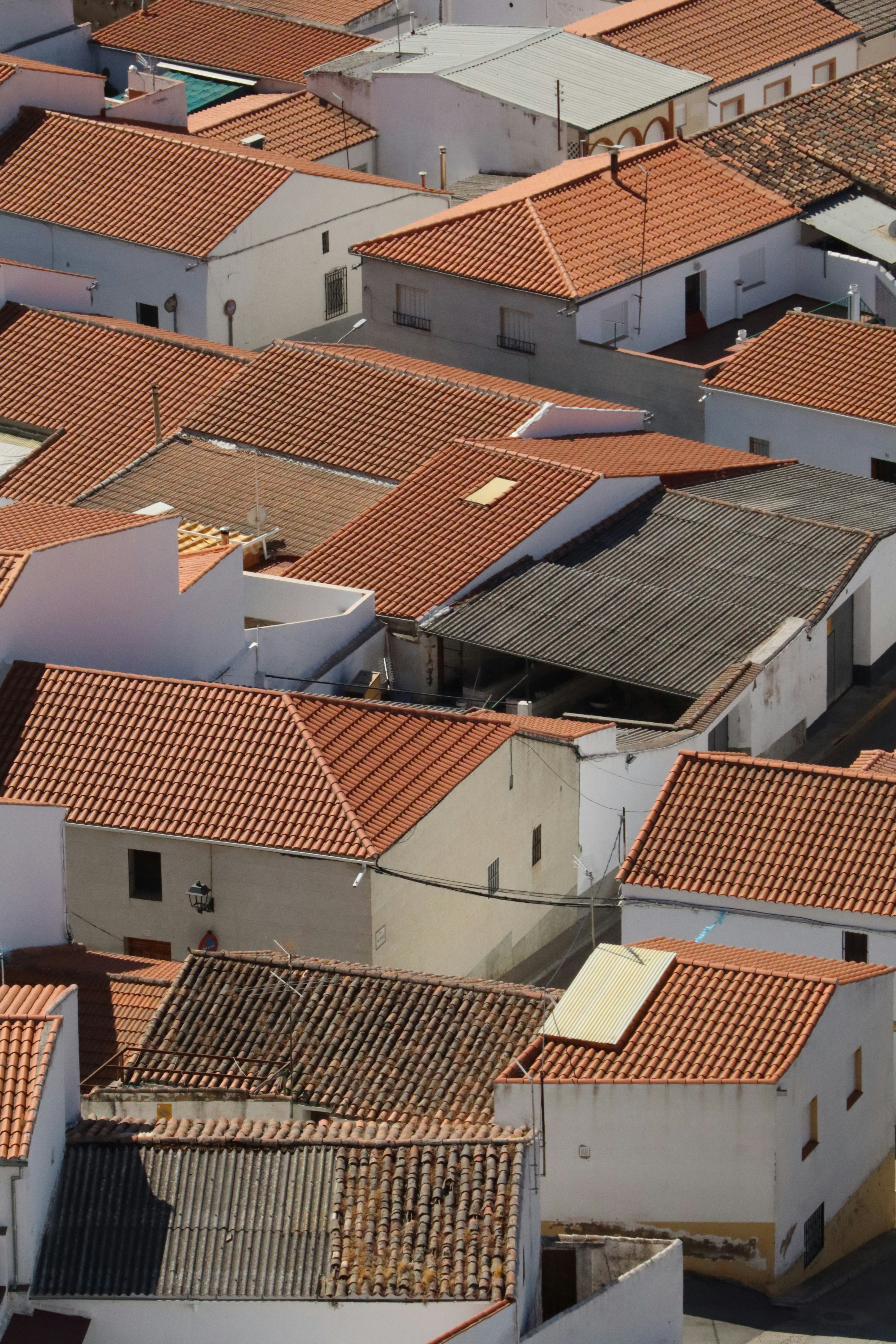 Terracotta Sea: A Rooftop Mosaic of White Walls and Red Tiles