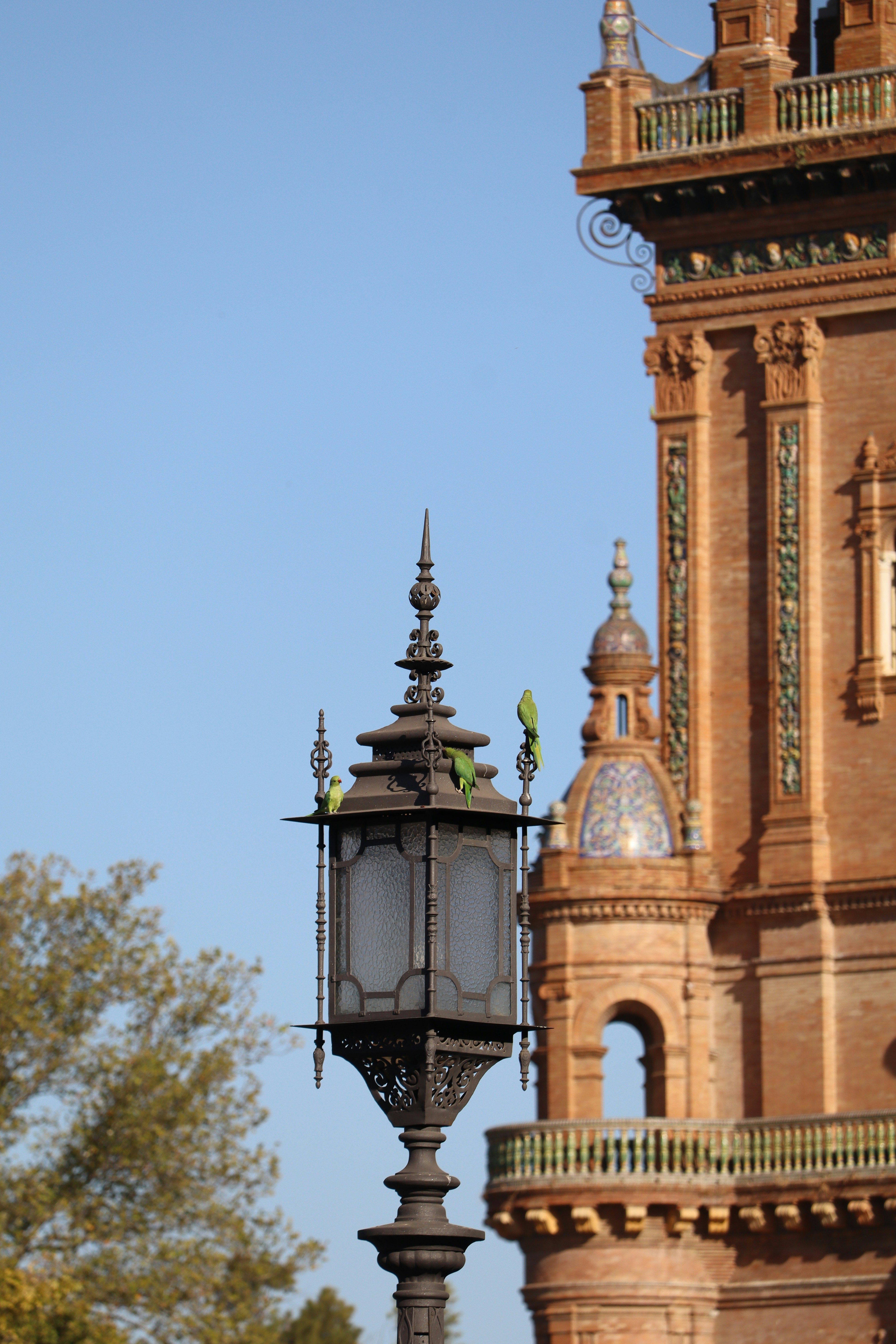 Ornate Lantern Crowned by Green Perches