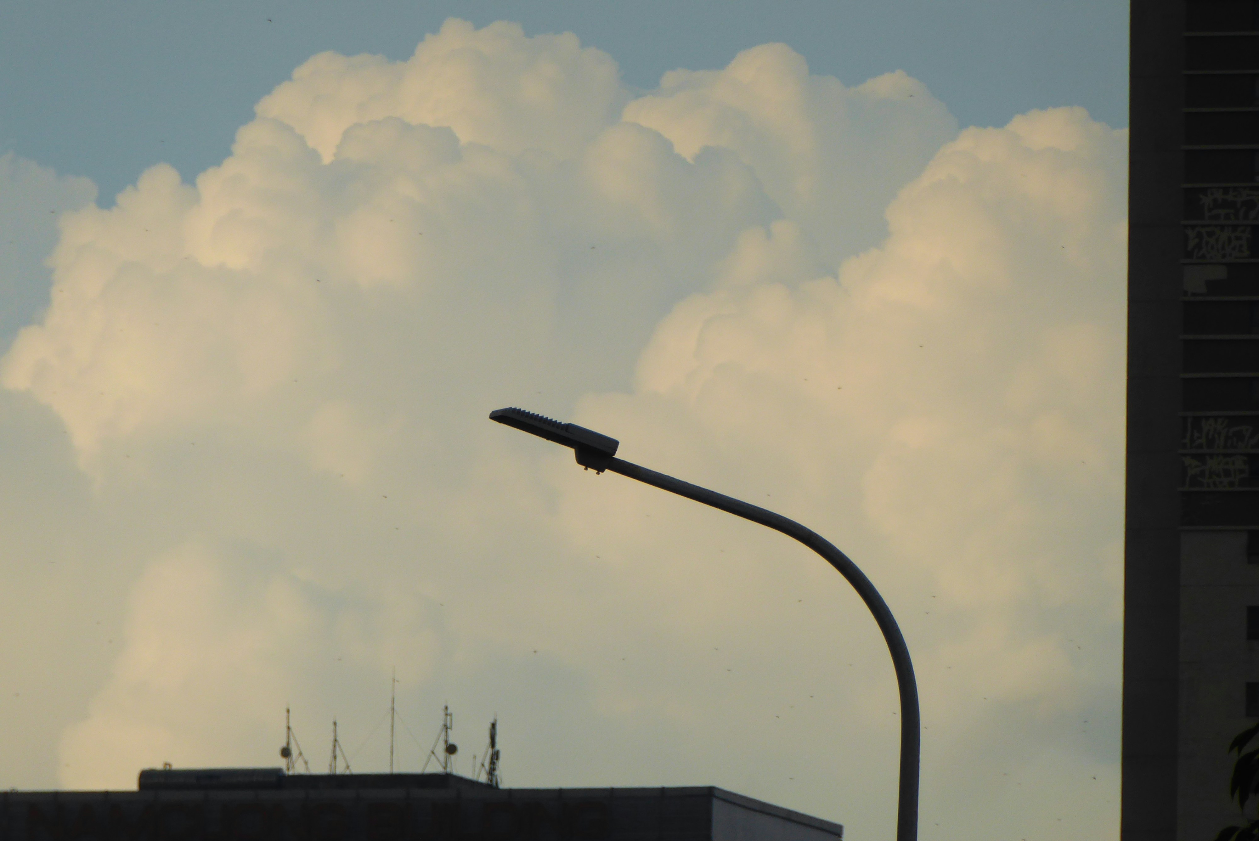 Arc of a Lamp Post: A Quiet Moment Above the City
