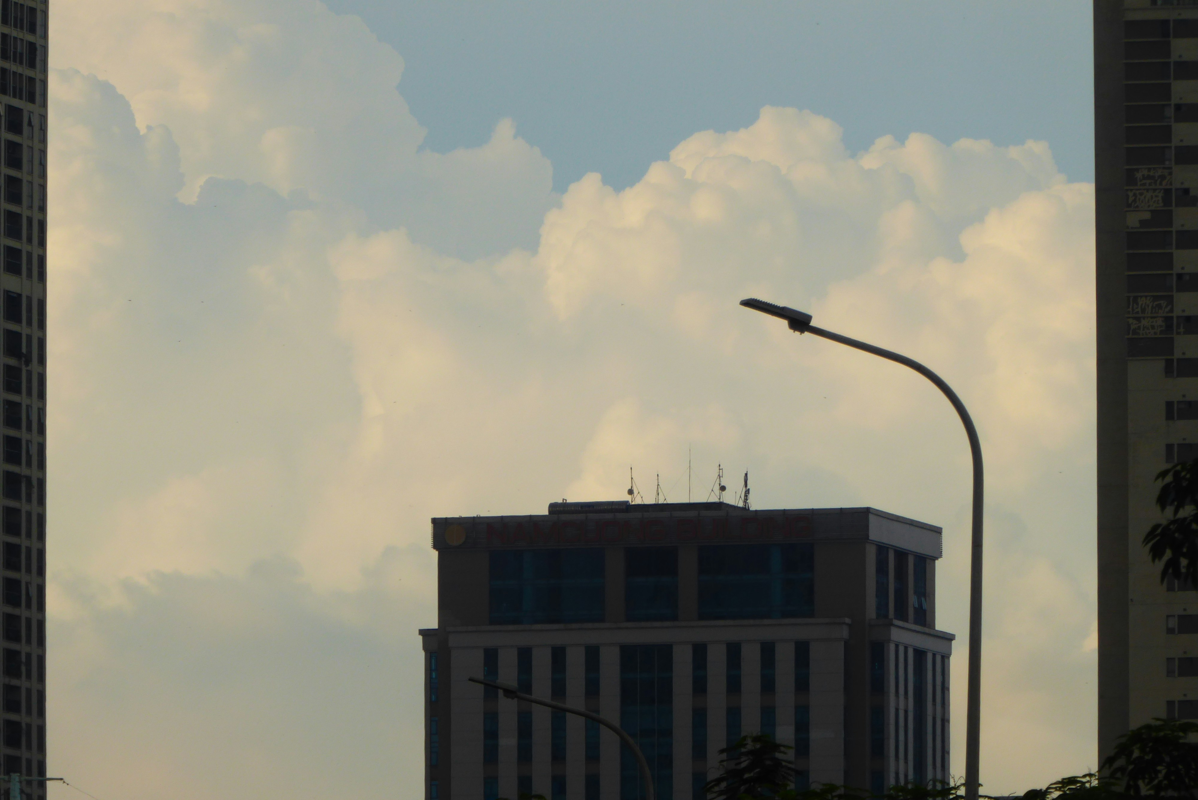 City Silhouette under a Curved Streetlight