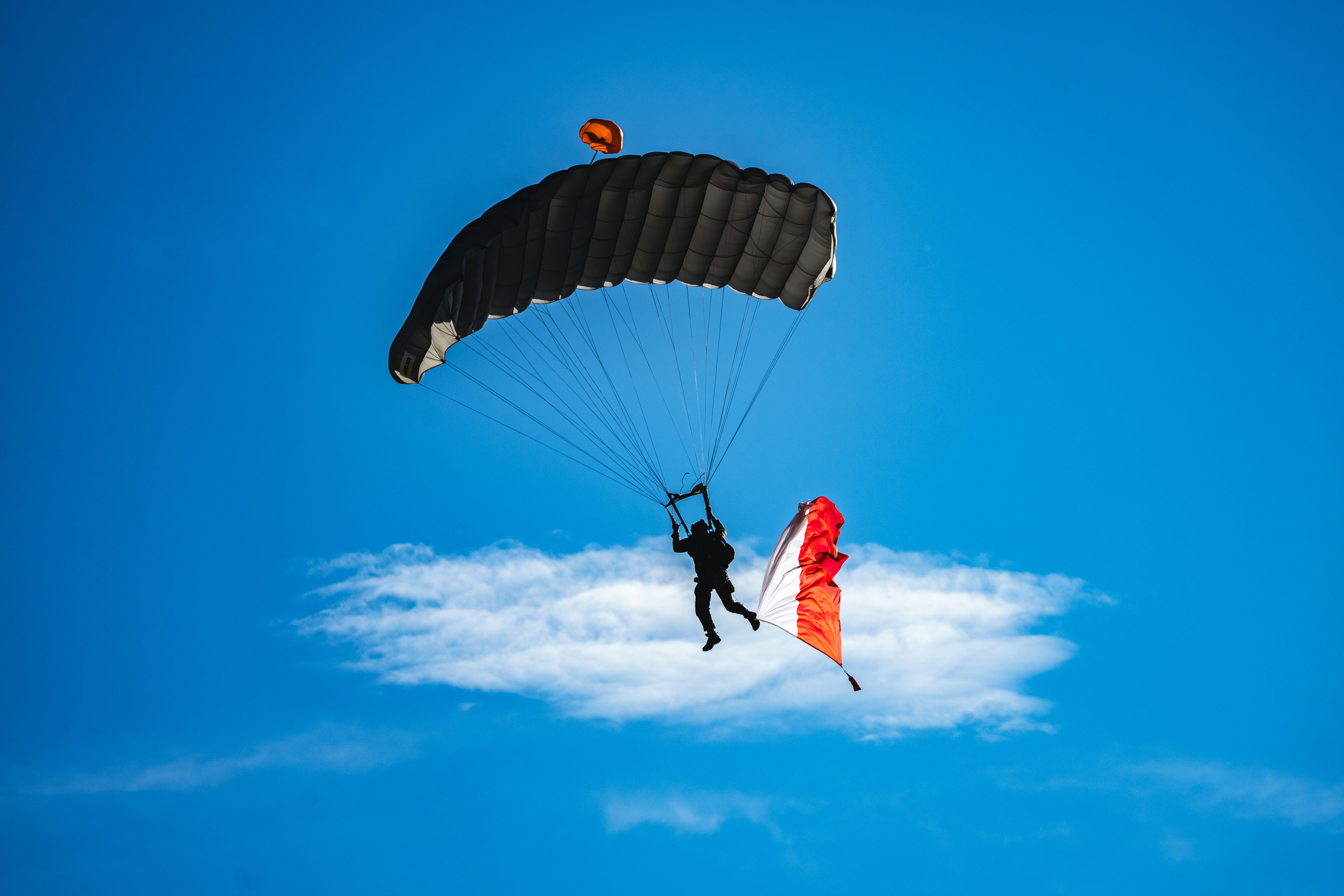Midair Duo: Freefall Synchrony Under a Blue Gaze