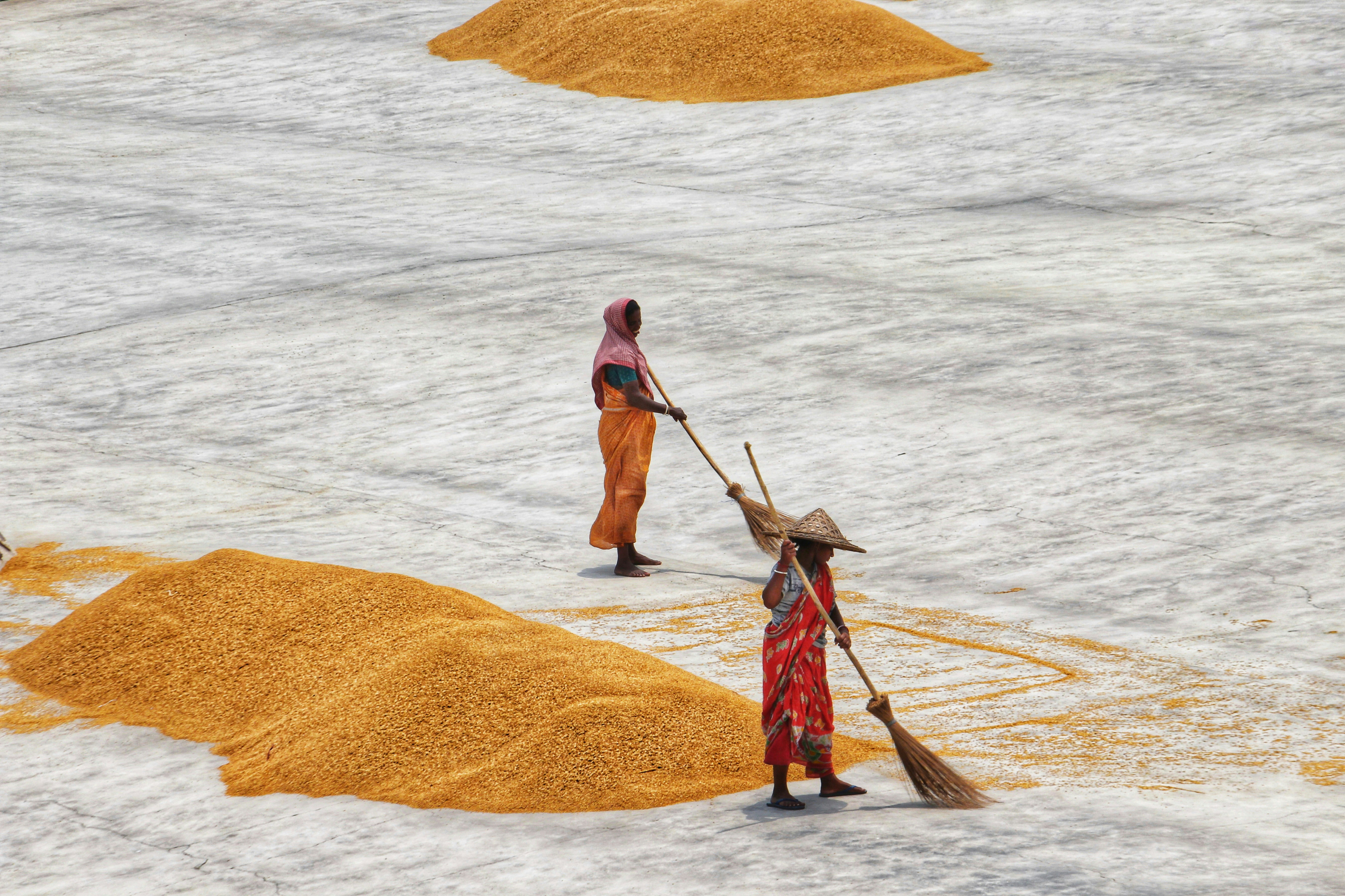 Harvesters in White Sands: Dual Shadows on a Grainy Beach