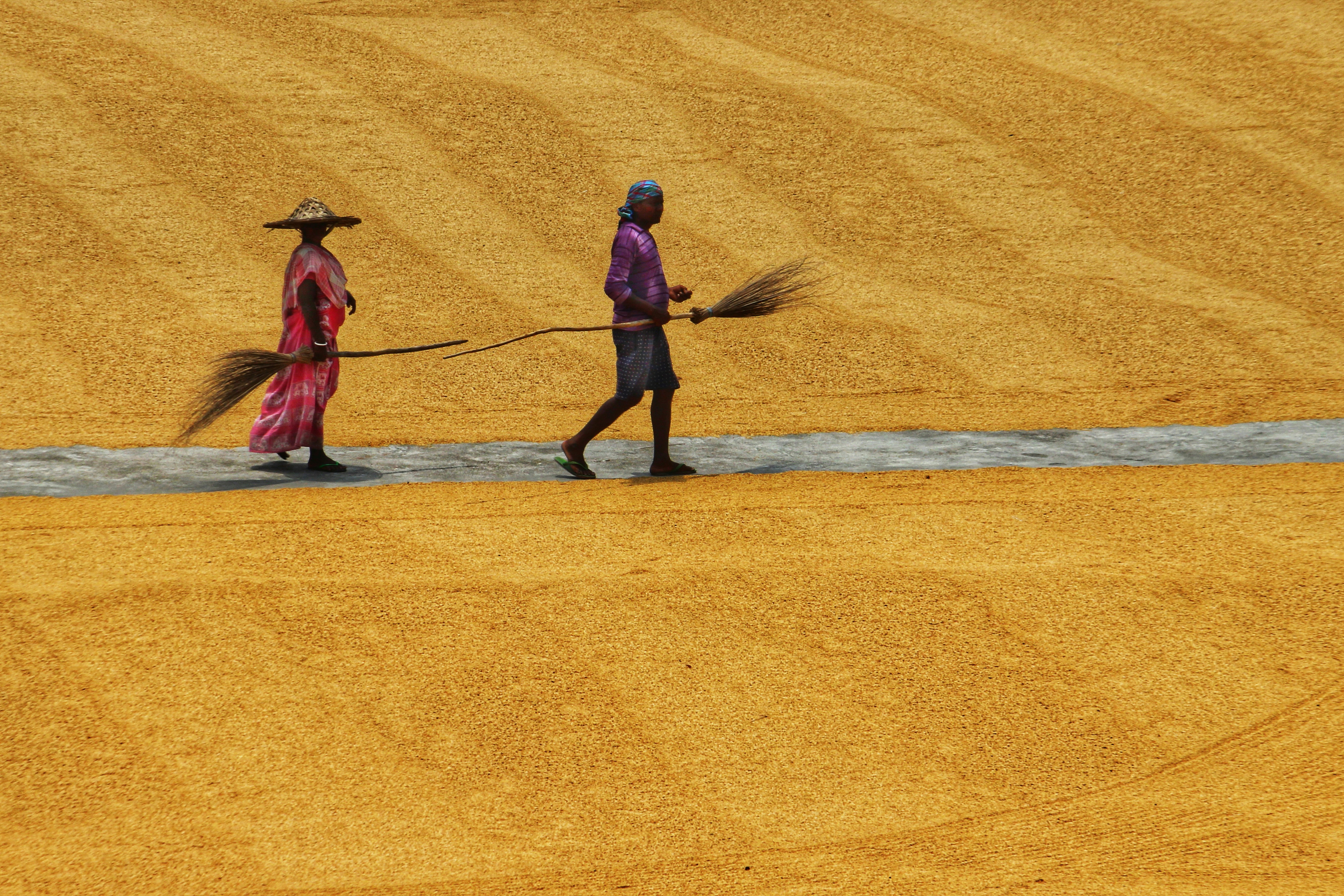 Two figures walk along a narrow water channel across a sunlit ochre landscape, each holding a broom or similar tool as they move in single file. The scene emphasizes texture and color of the terrain.