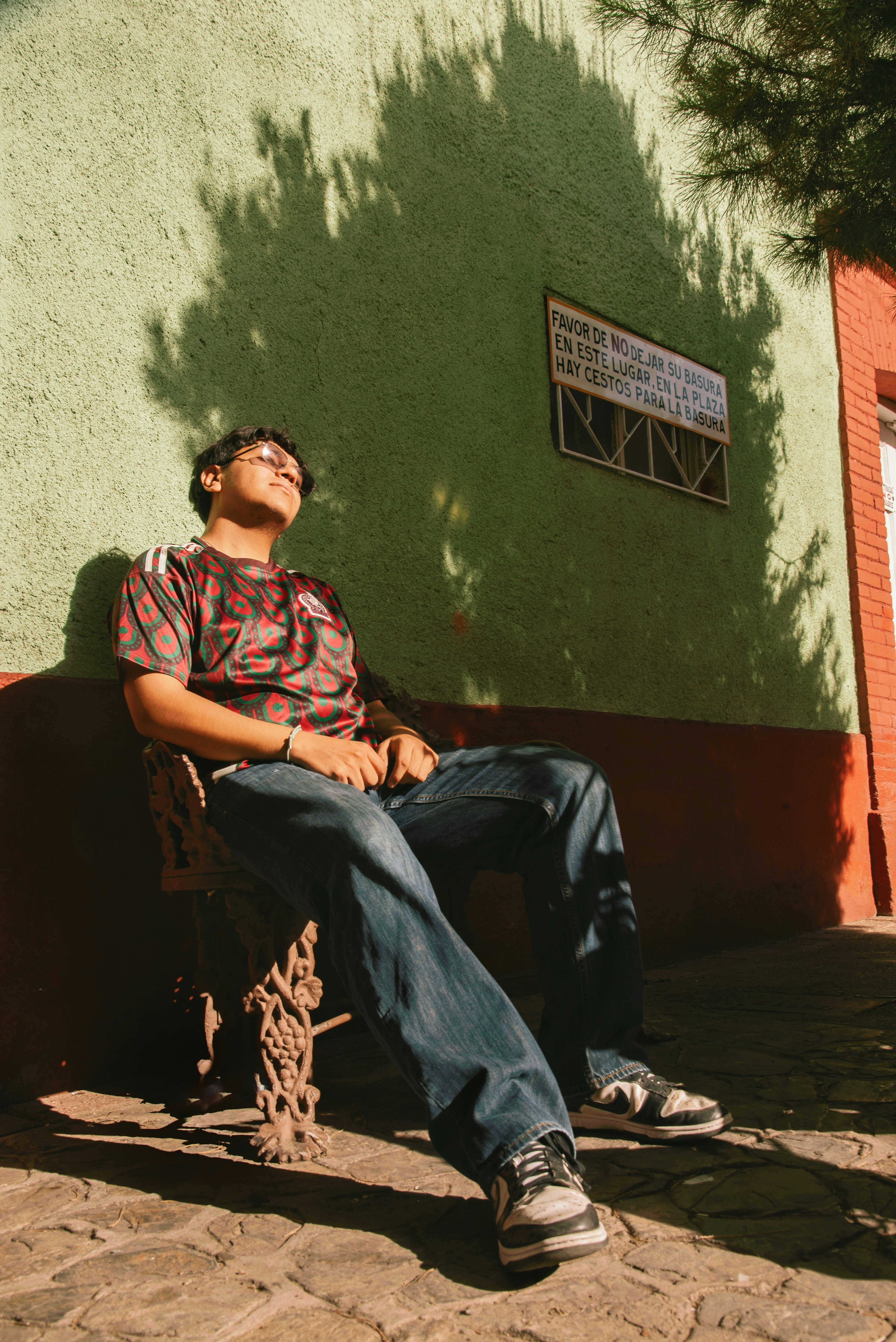 Silent Contemplation in the Sunlit Courtyard