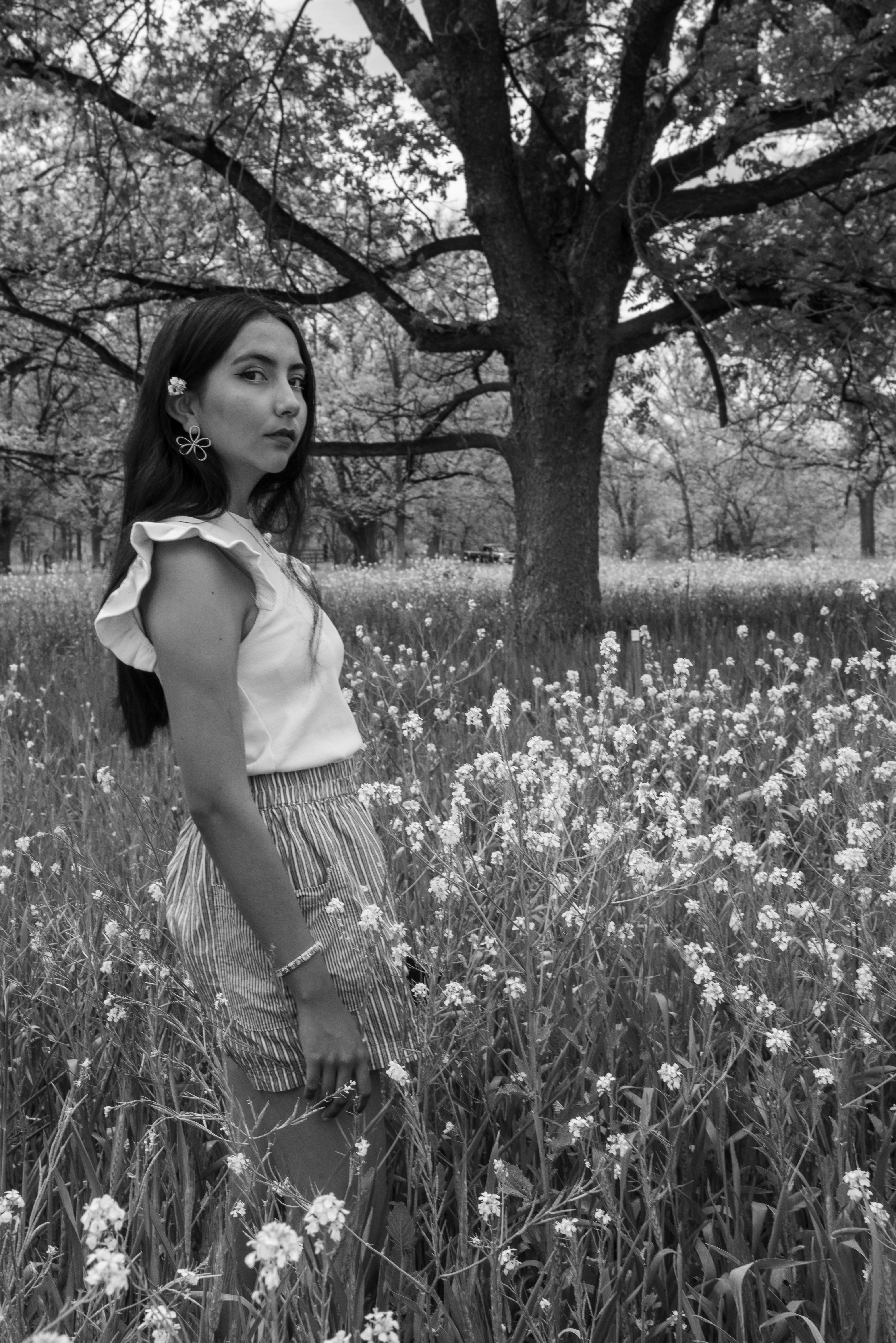 In the Field of Quiet Grace
