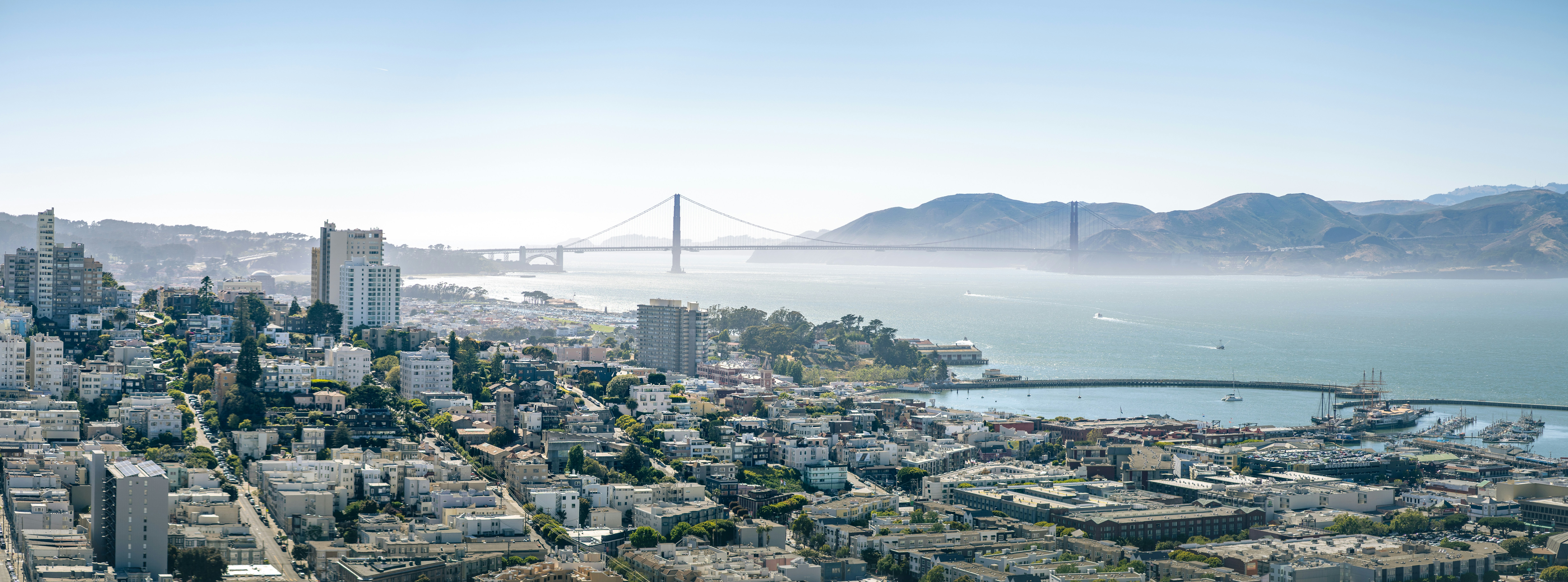 Bridge and Bay Vista: Aerial Calm Over San Francisco Monoliths