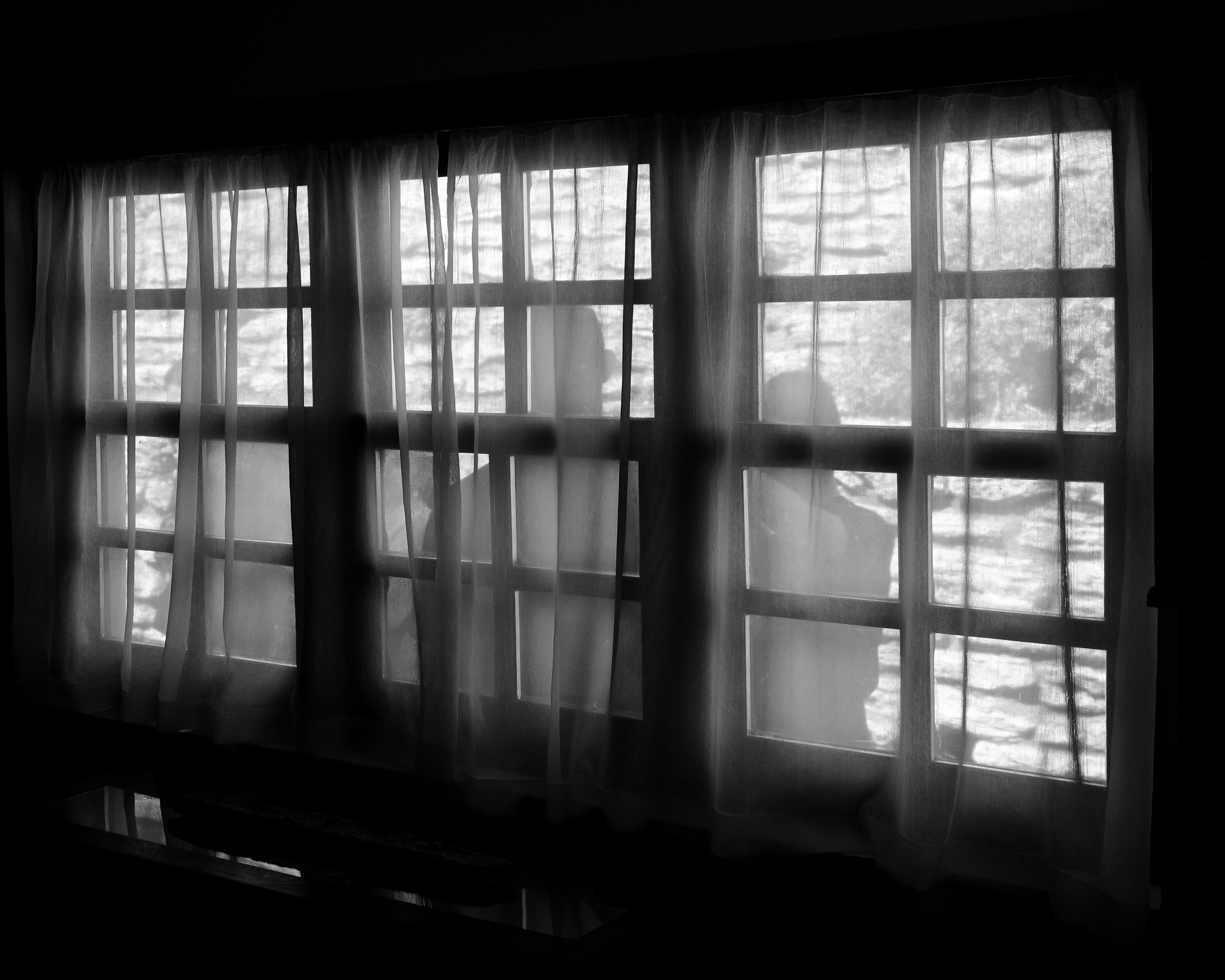 Shadowed Window Portrait: A Quiet Veil of Curtains and Light