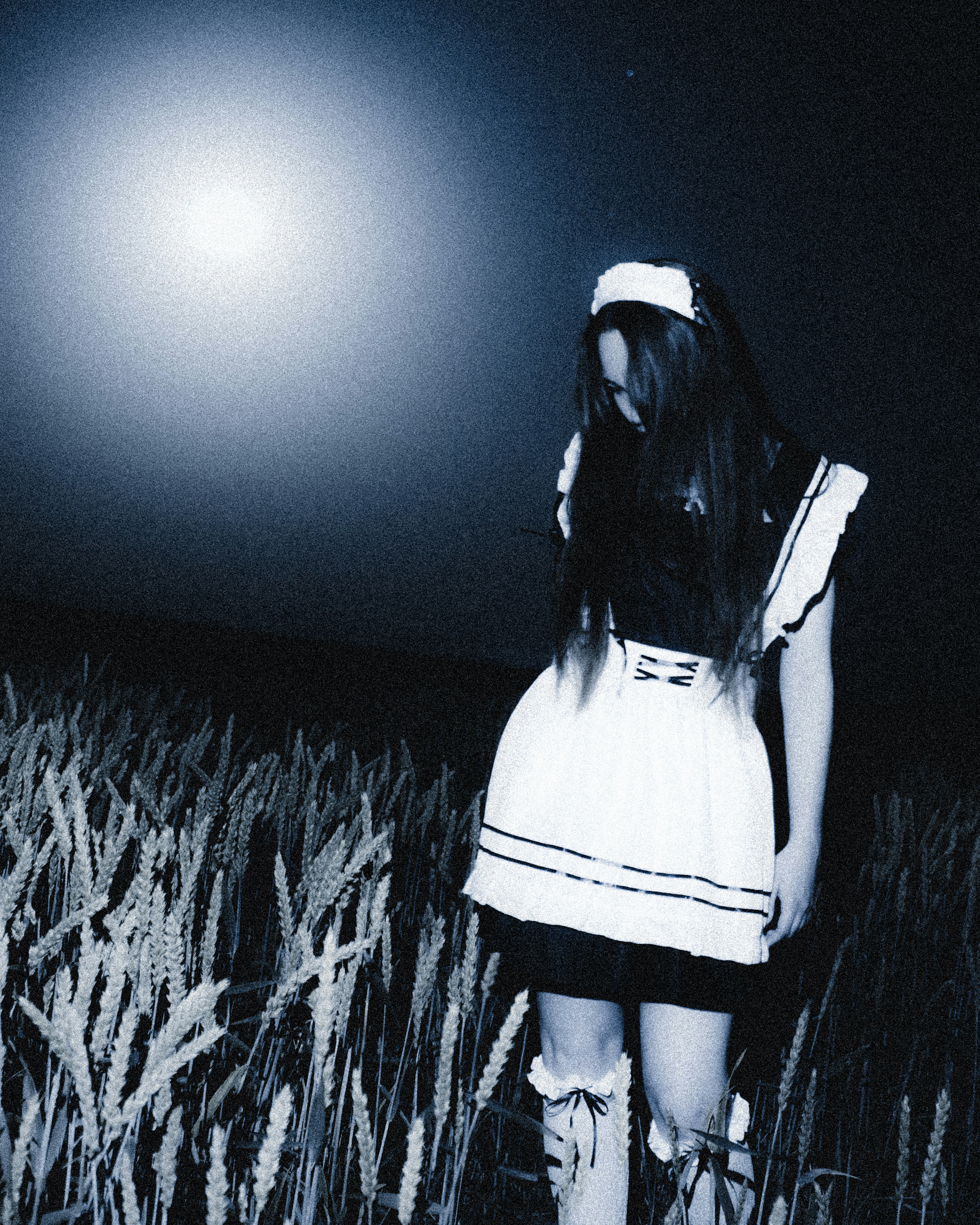 Moonlit Maid in the Field: A Midnight Menu of Mystery