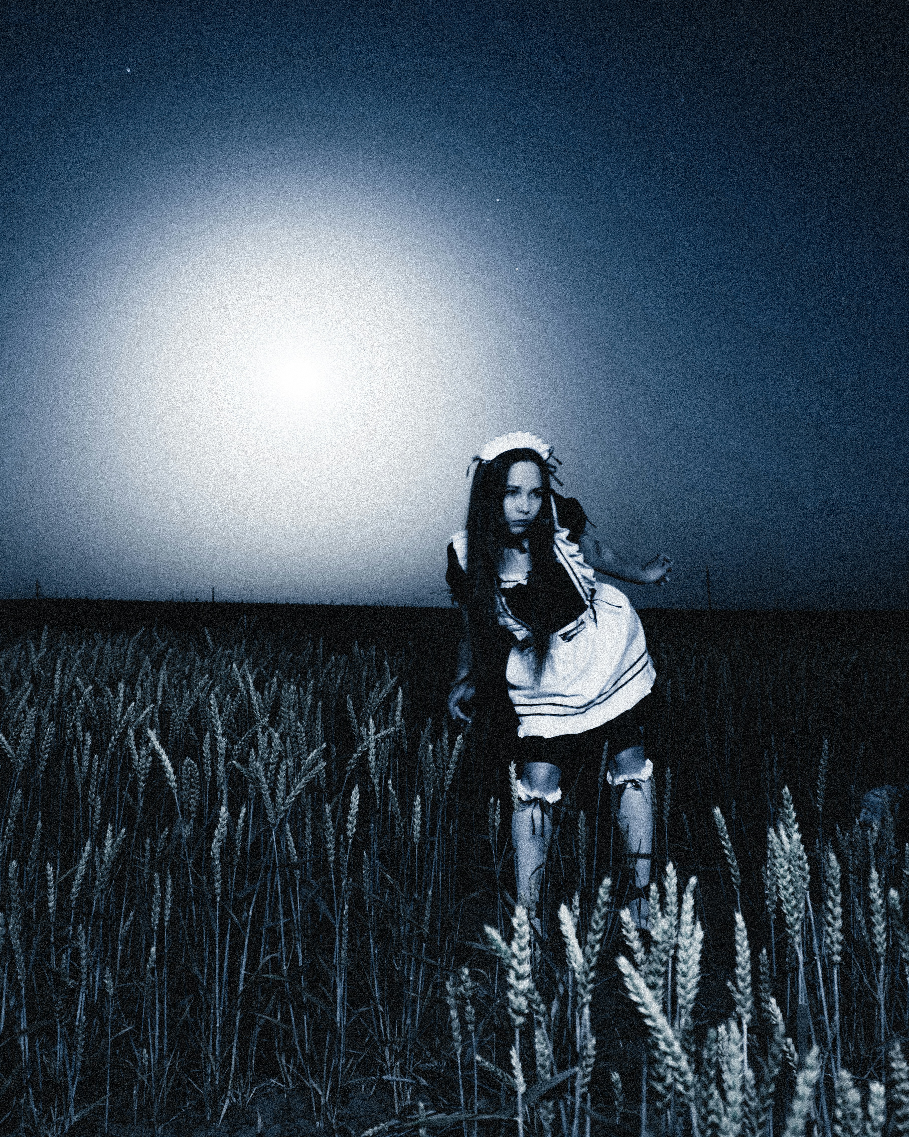Moonlit Field Dance: A Night Portrait in Grain and Quiet