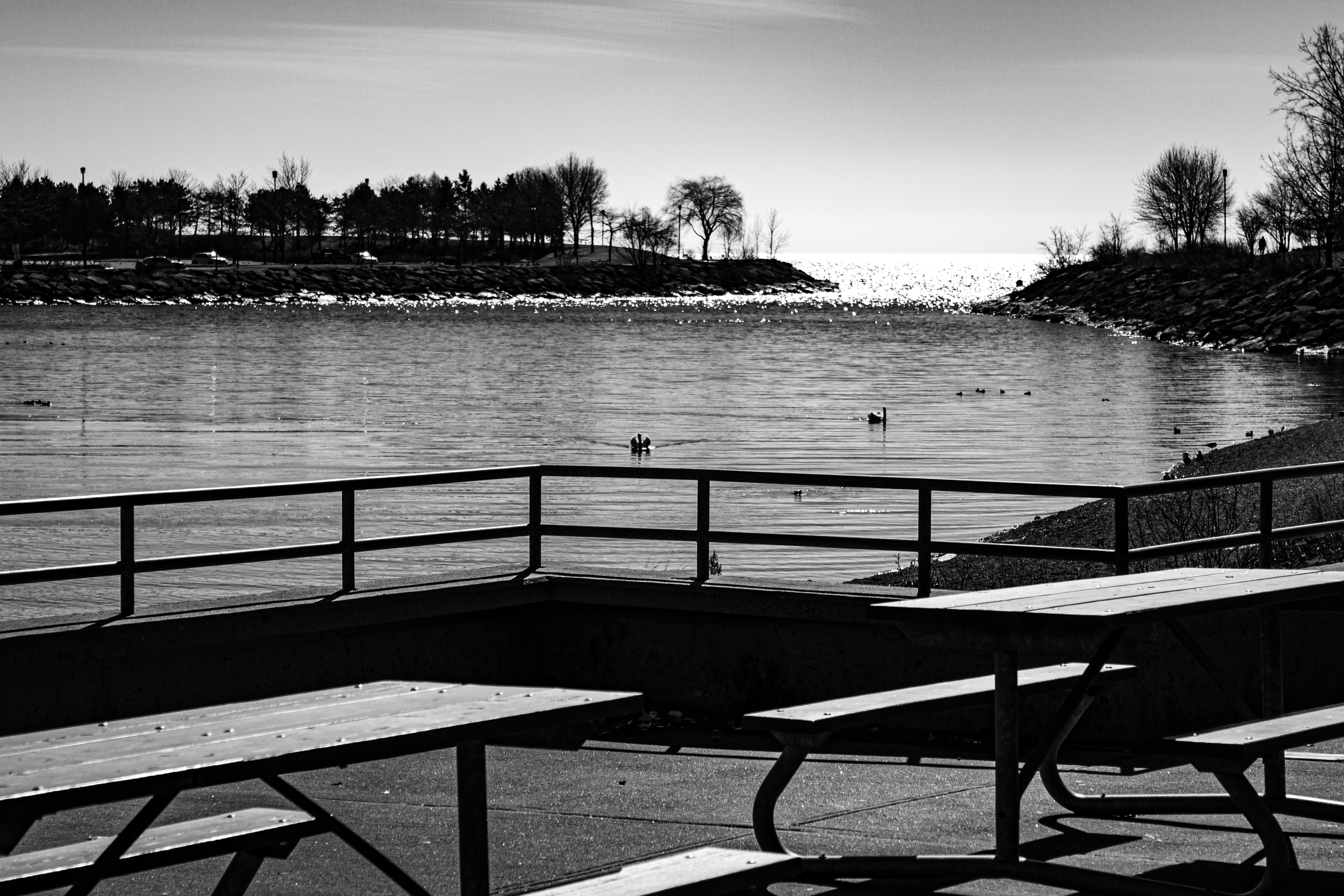 Monochrome scene of a riverside park with empty picnic tables in the foreground and a calm water body beyond, dotted by distant swimmers and a tree-lined shore.