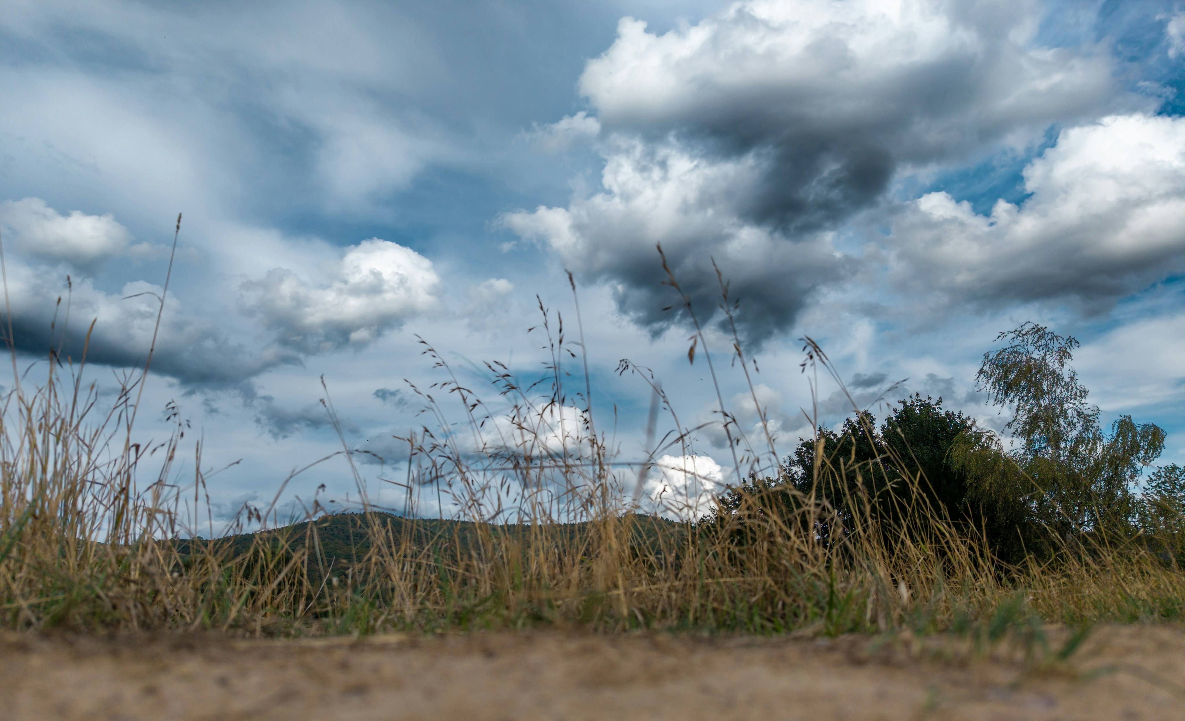 Low Horizon, Expanding Sky: Cloudscape Over Prairie