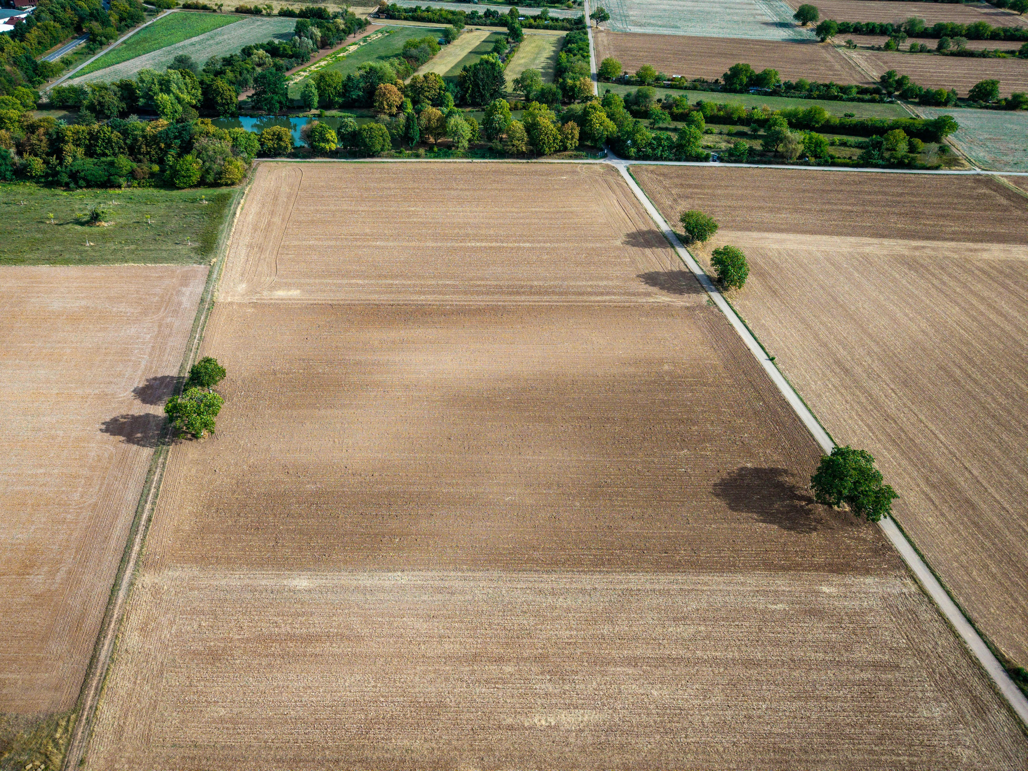 Aerial Grid of Fallow Fields with Distant Tree Row