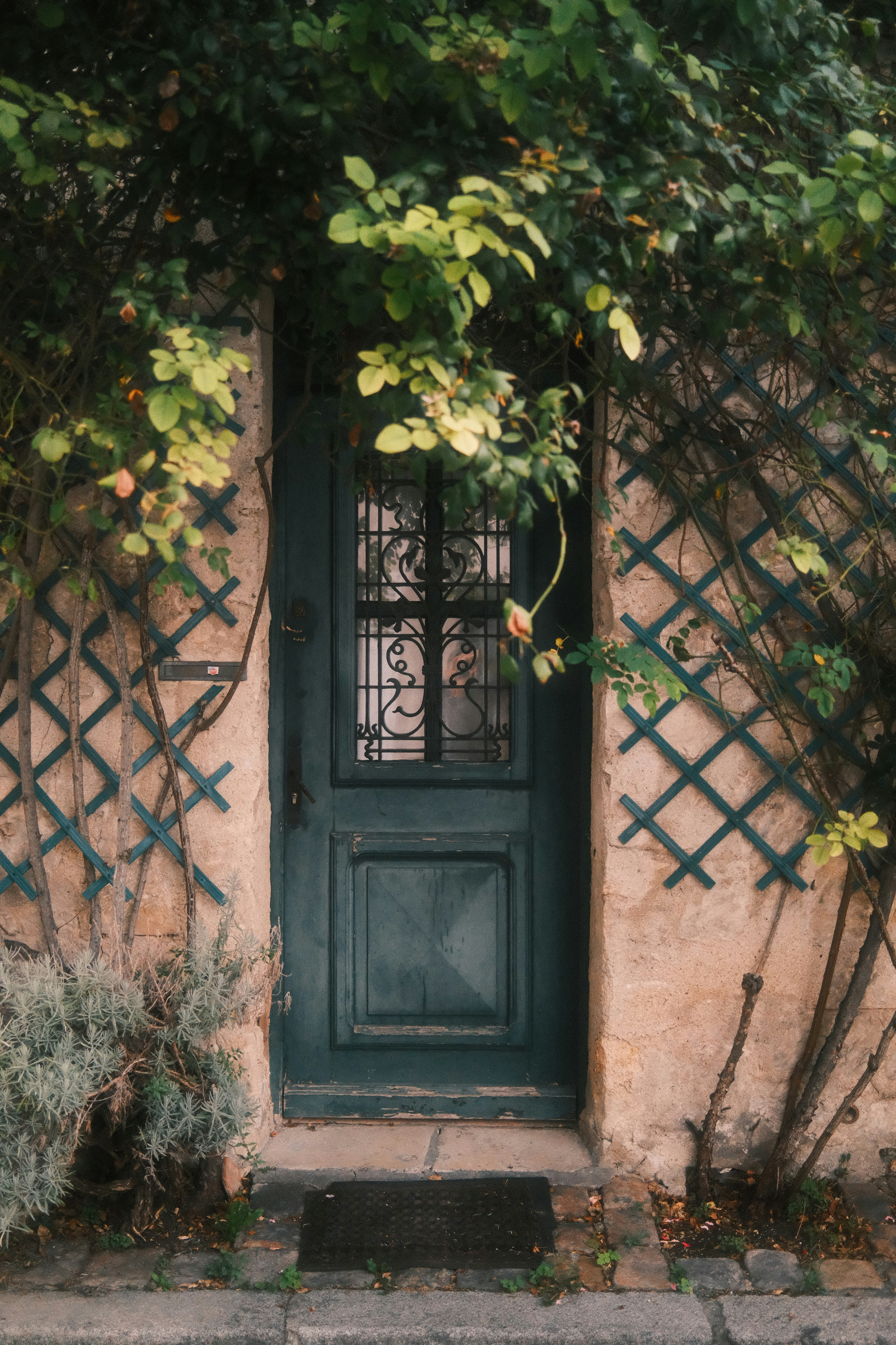 Weathered Green Doorway with Climbing Foliage