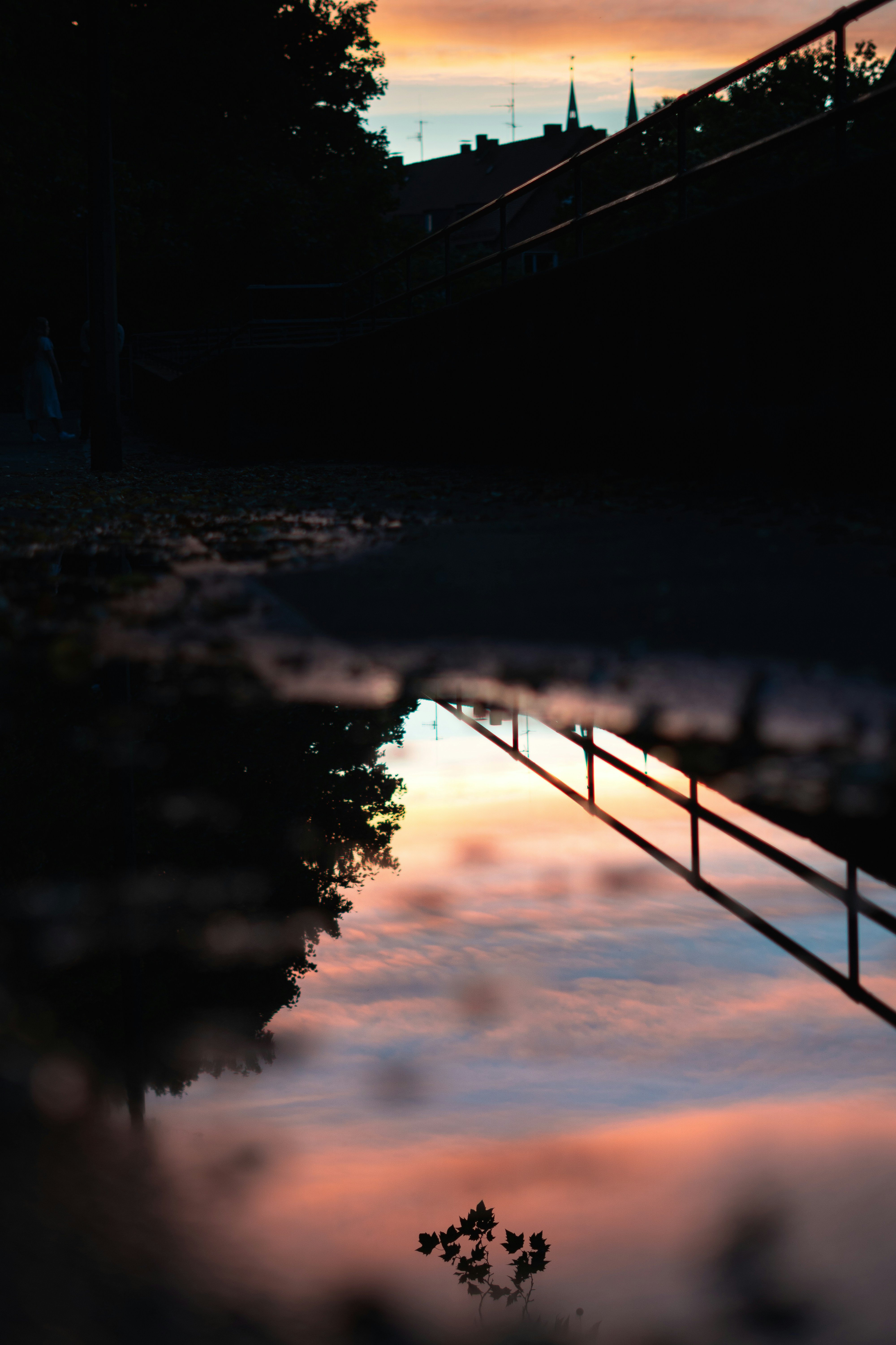 Sunset Reflections: Urban Bridge and Silhouetted Trees