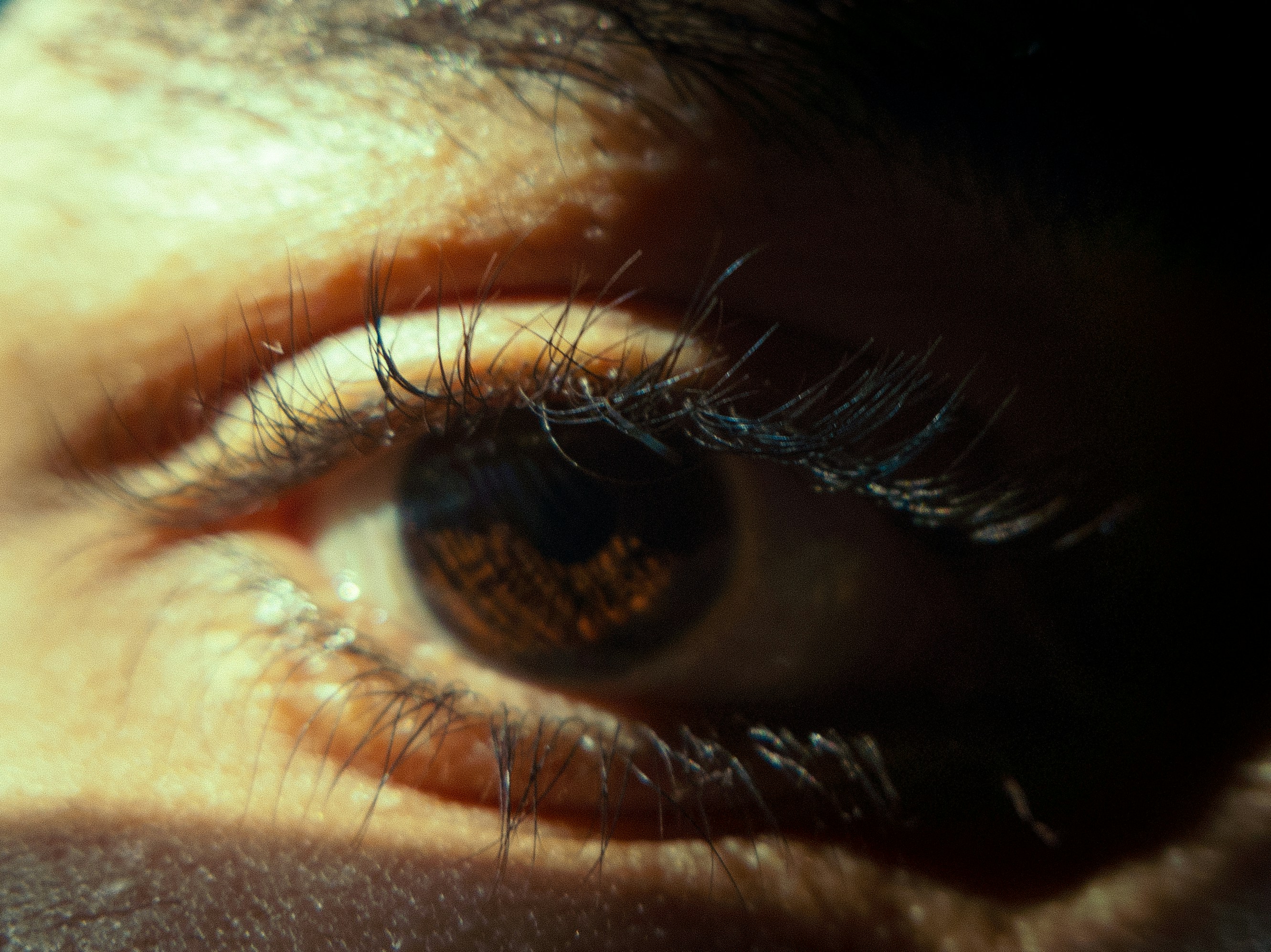 Amber Gaze: Close-Up of Focused Iris in Warm Light