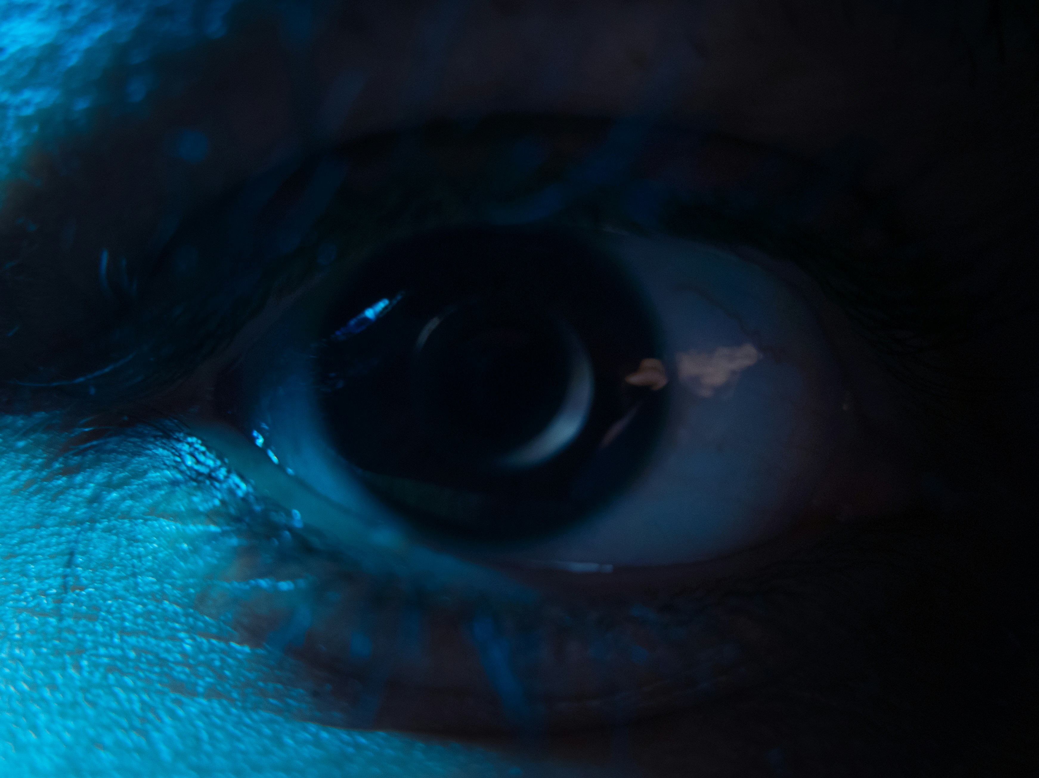 Blue Hue Gaze: An Intense Macro of a Shuttered Eye