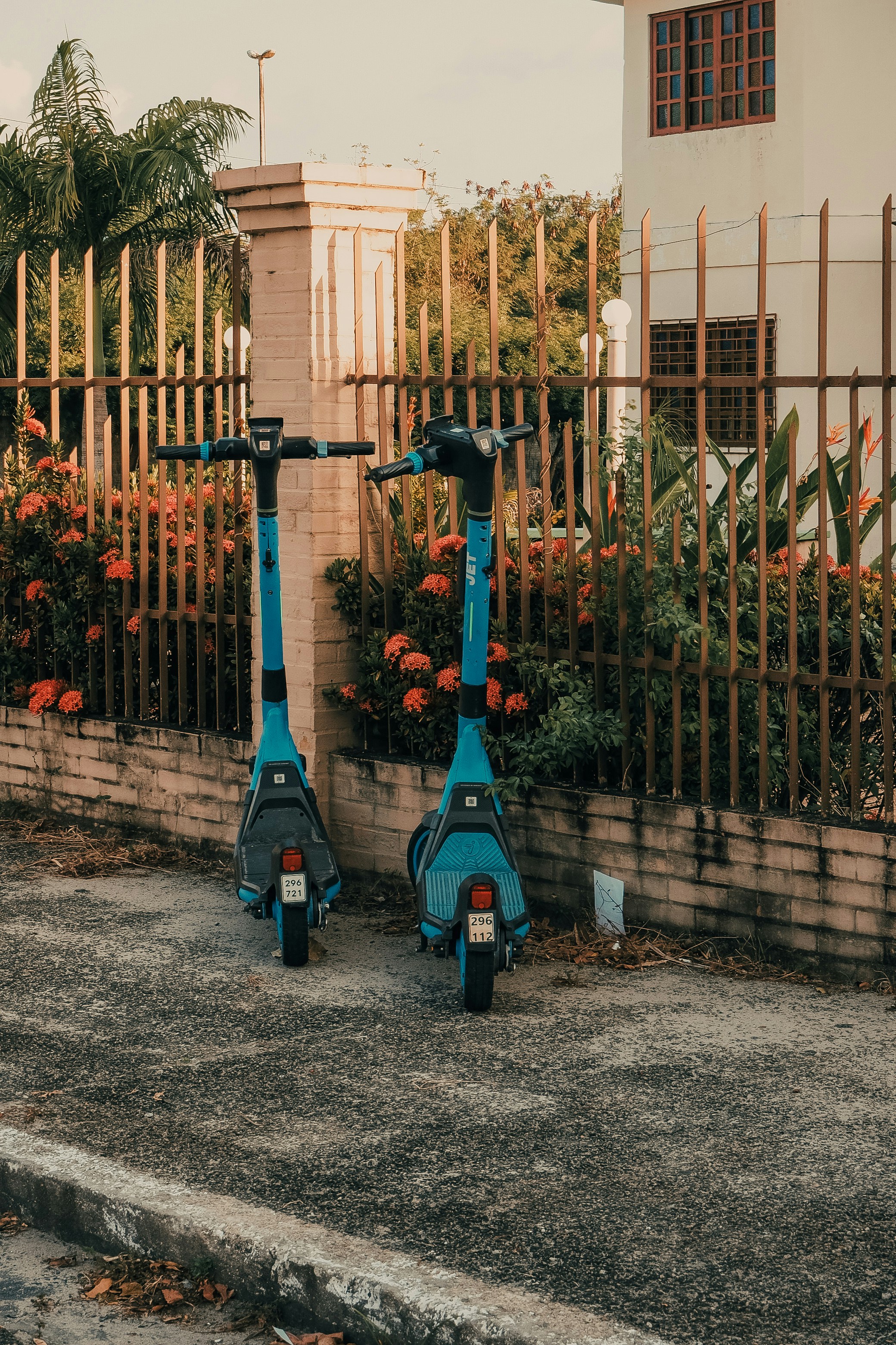 Twin Azure E-scooters Parked Against a Flowering Fence