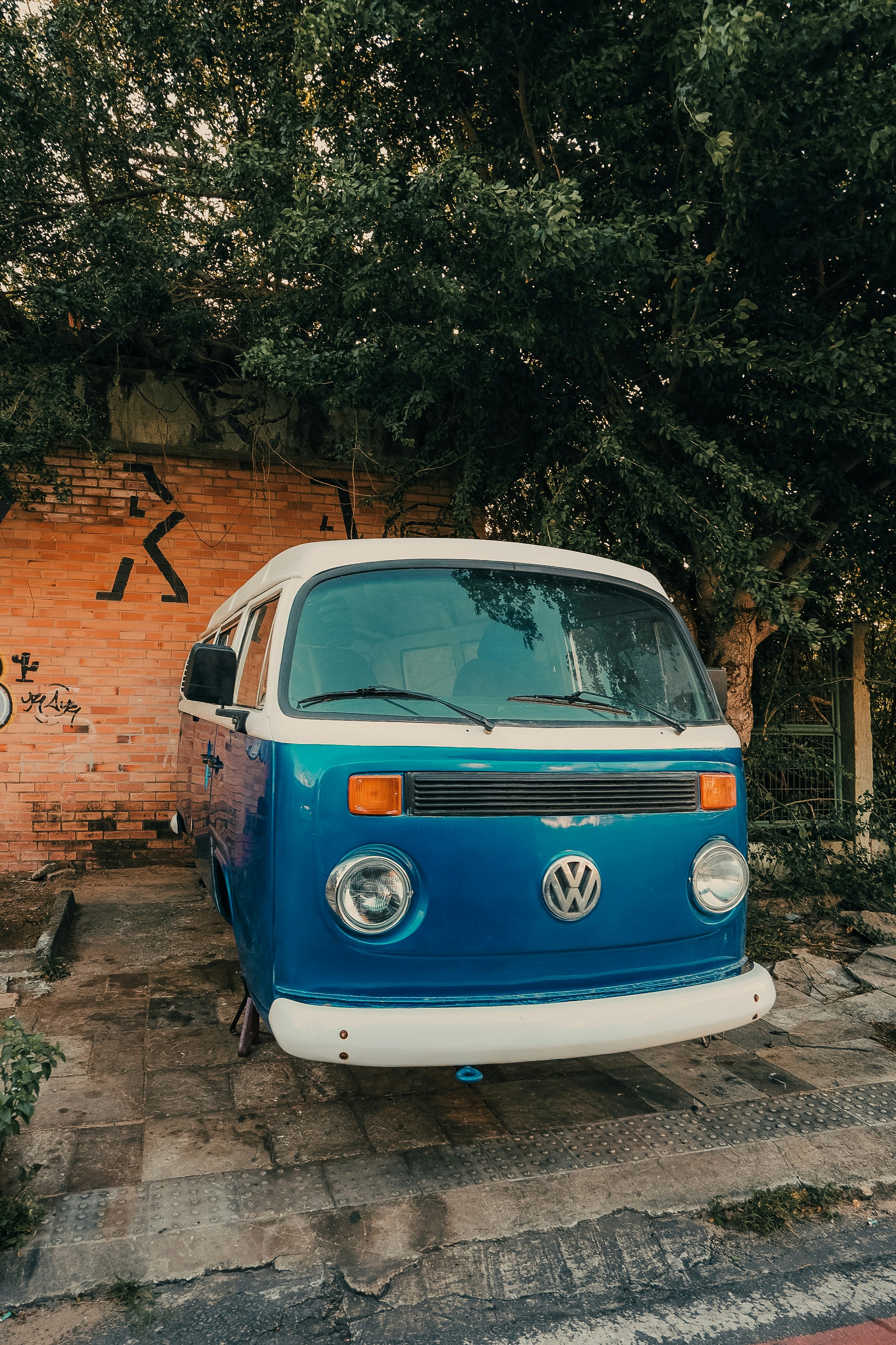 Blue VW Van in a Quiet Backyard Alley