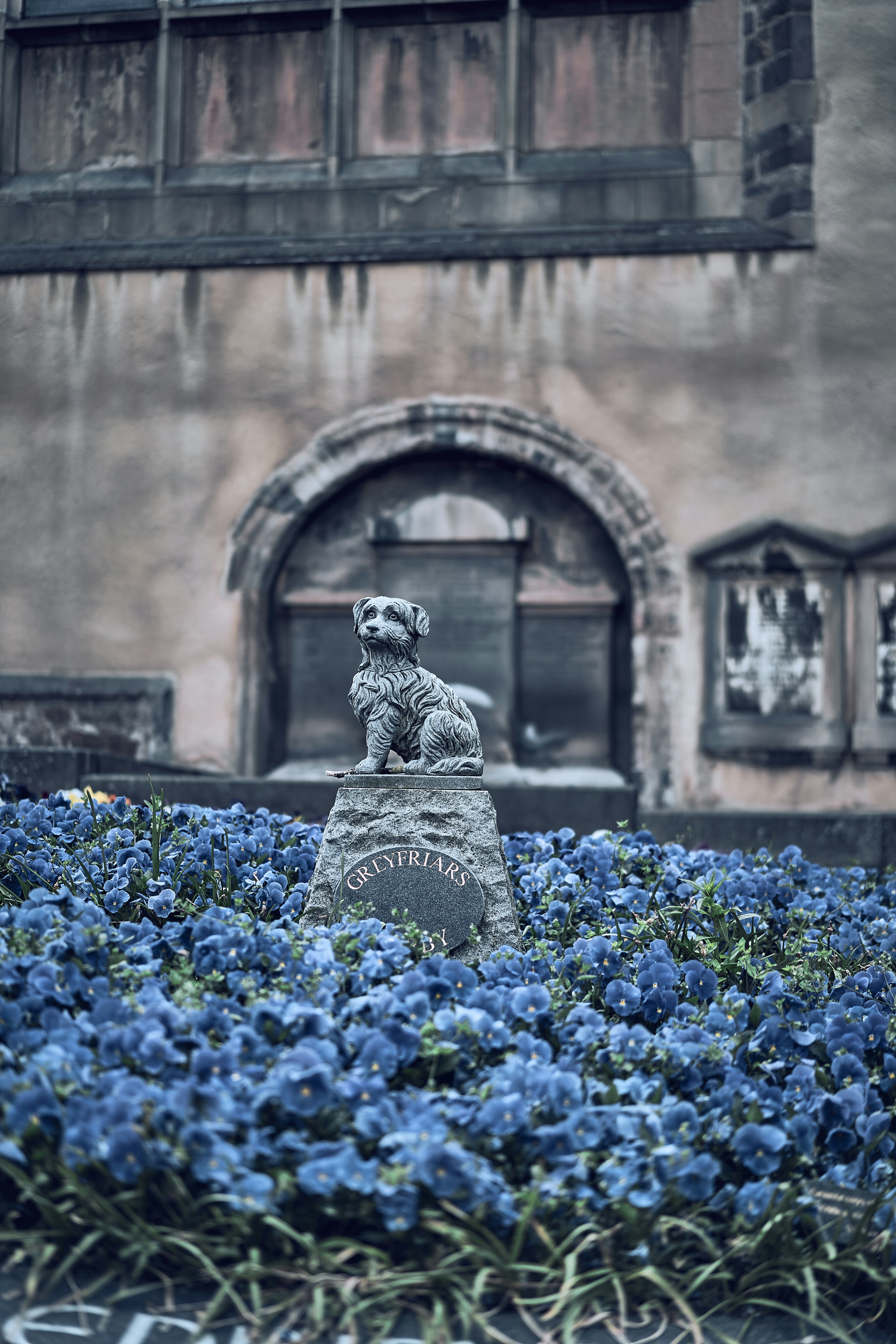 Blue Carpet Over the Courtyard Guardian