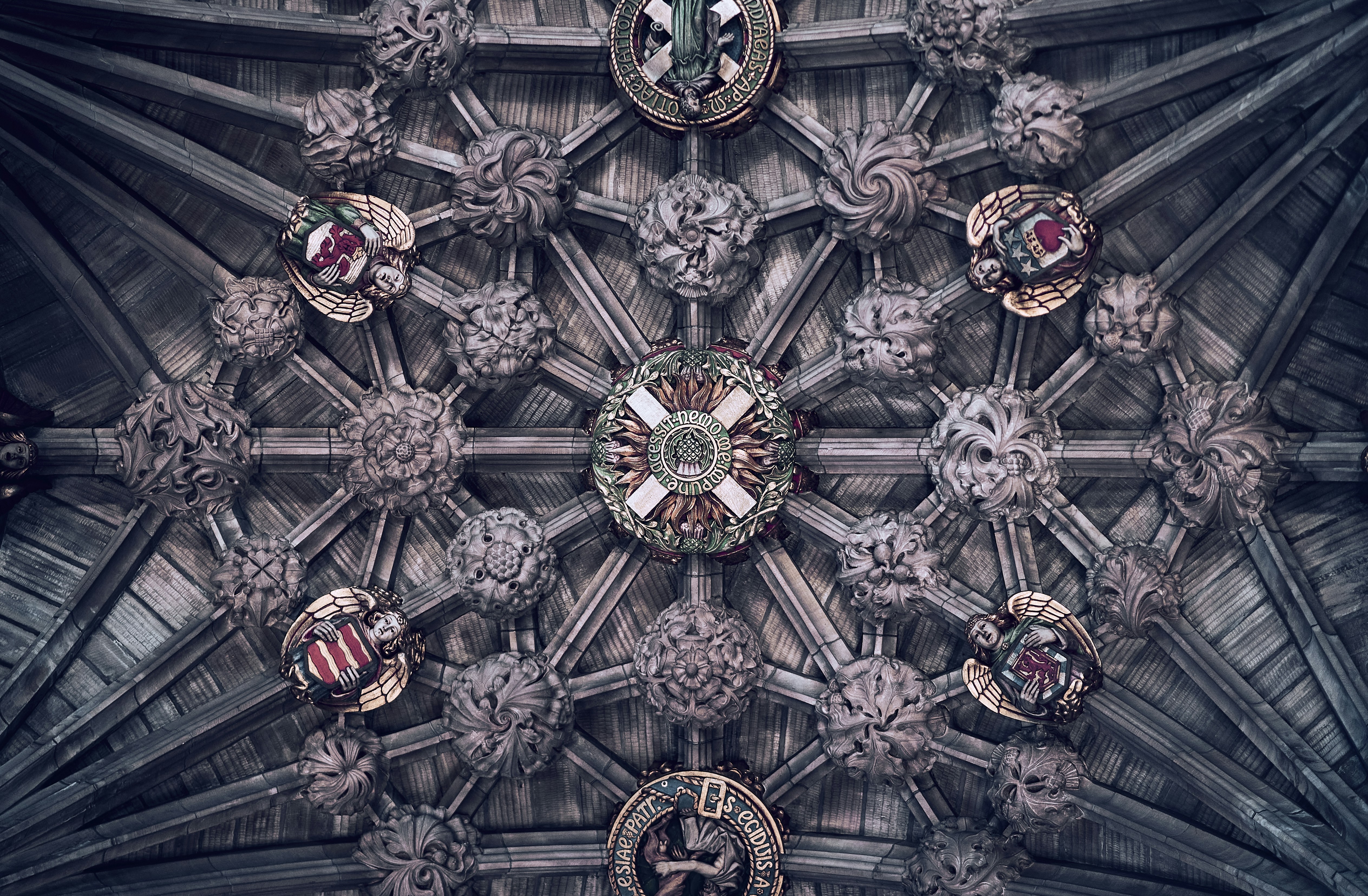 Ornate Vault of Interlaced Crests: A Symmetry of Stone and Symbol