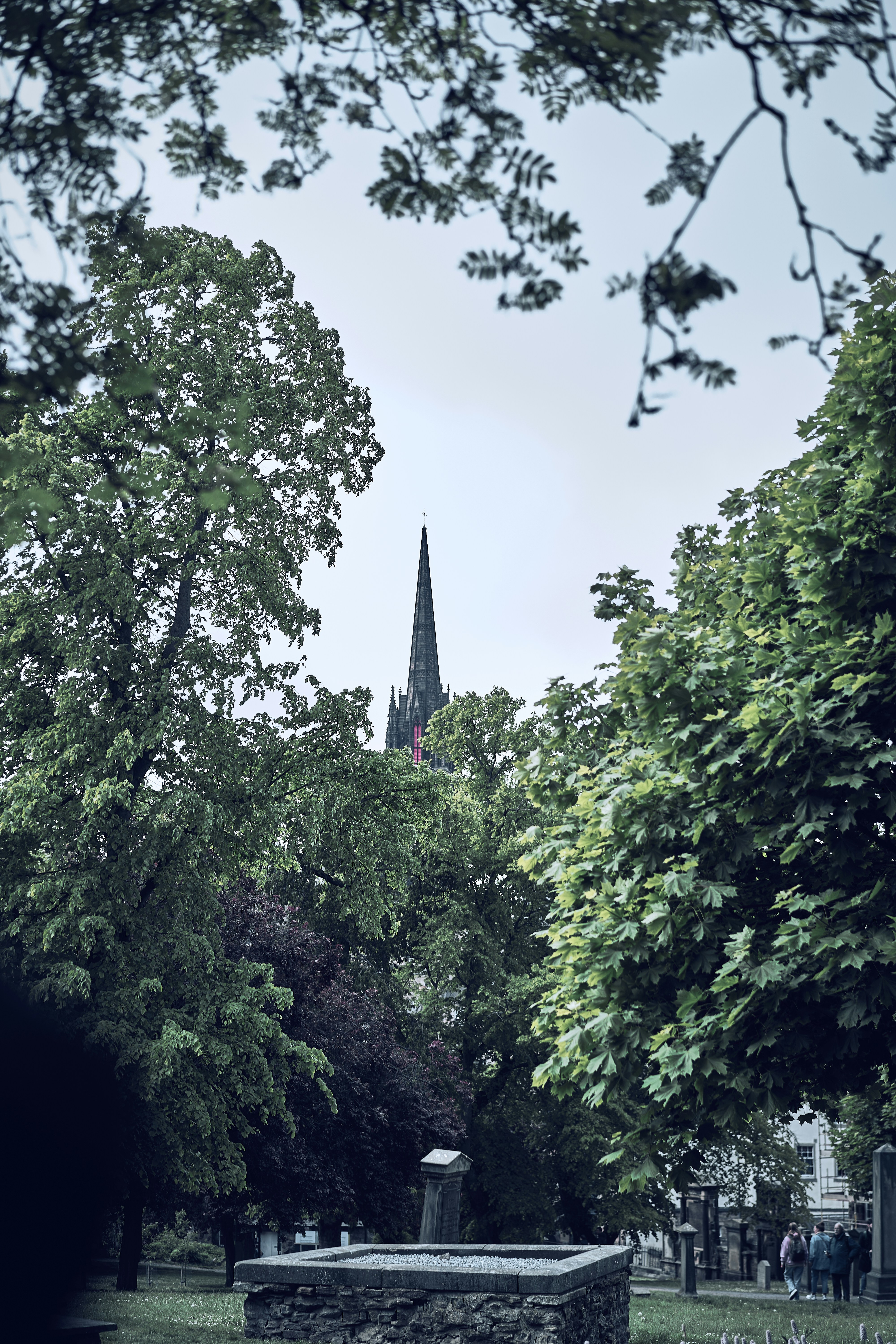 The Spire Beyond the Canopy