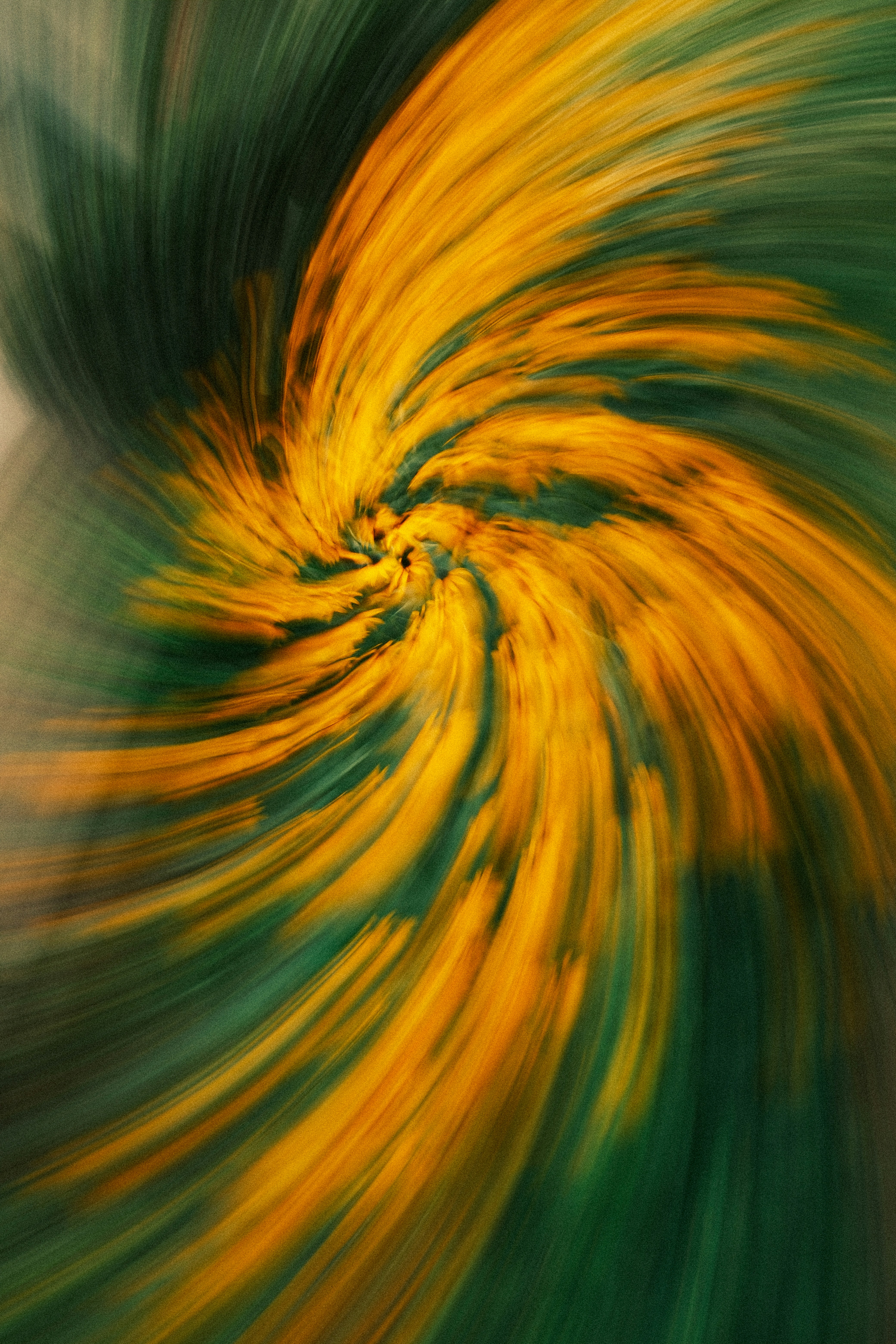 Spiral of Autumn Heat