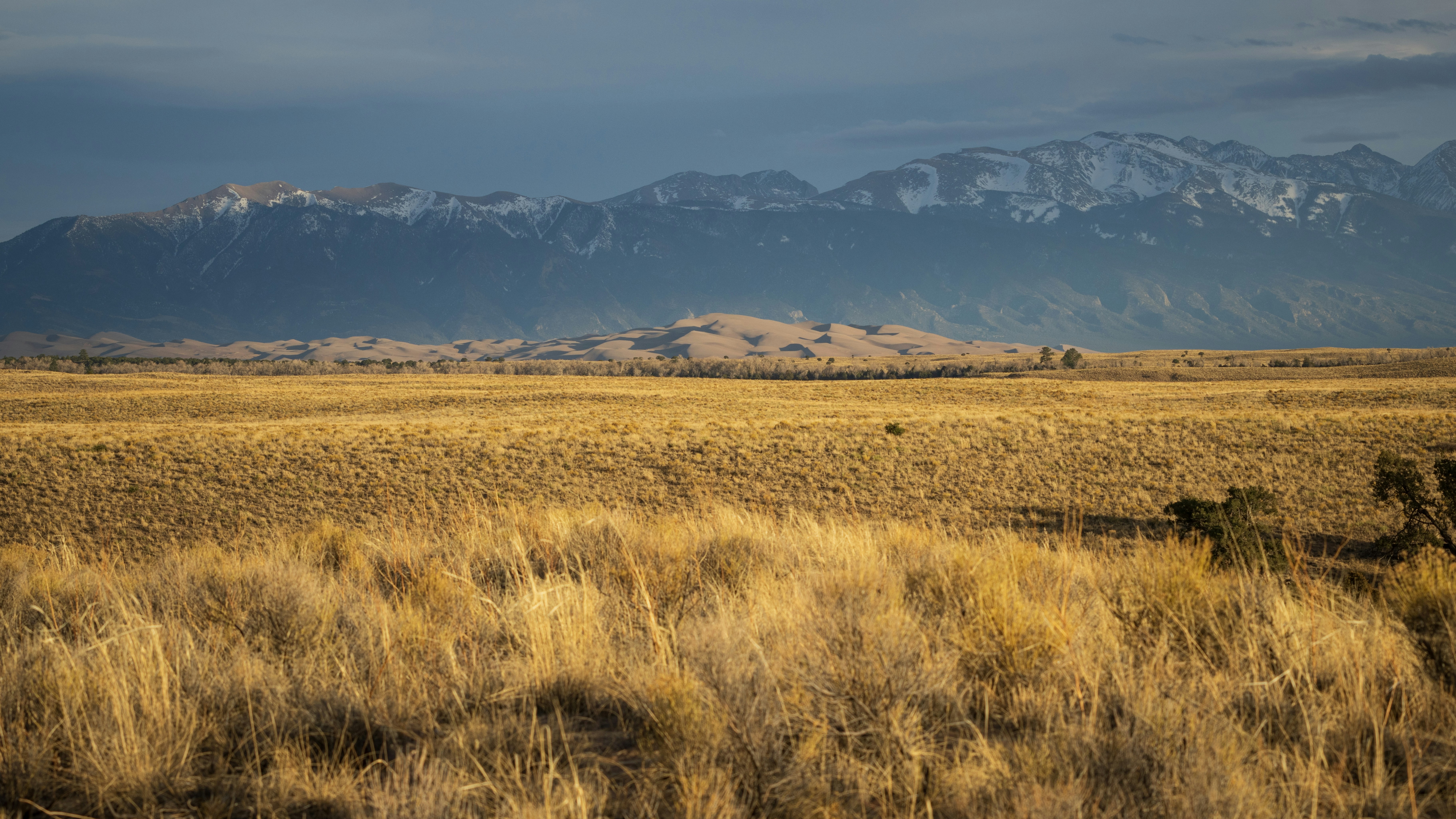 Golden Plains Beneath a Snow-Dusted Range