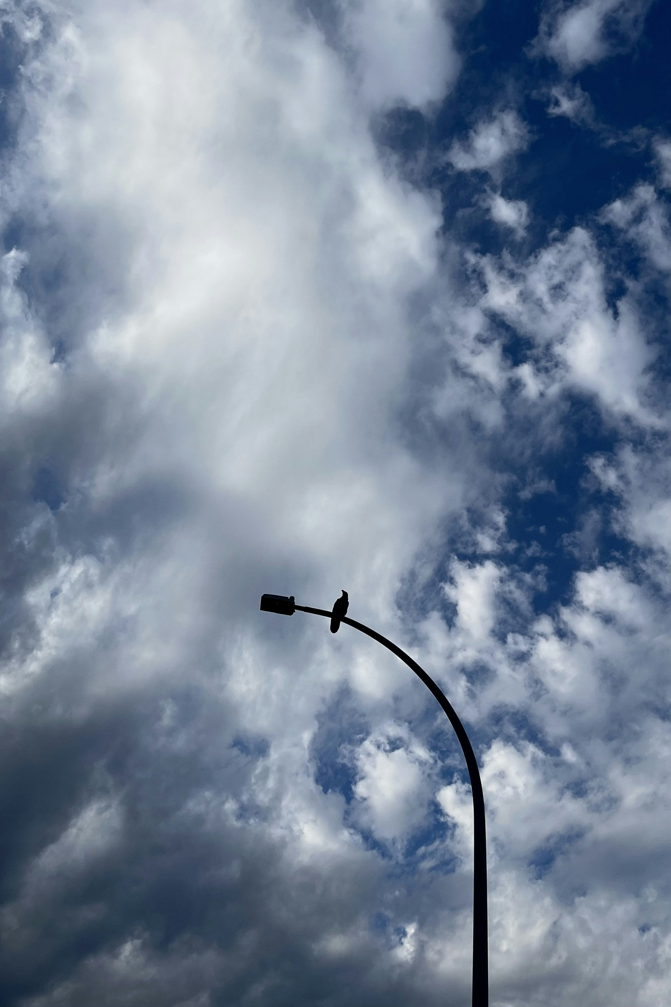 Streetlight against a dramatic sky