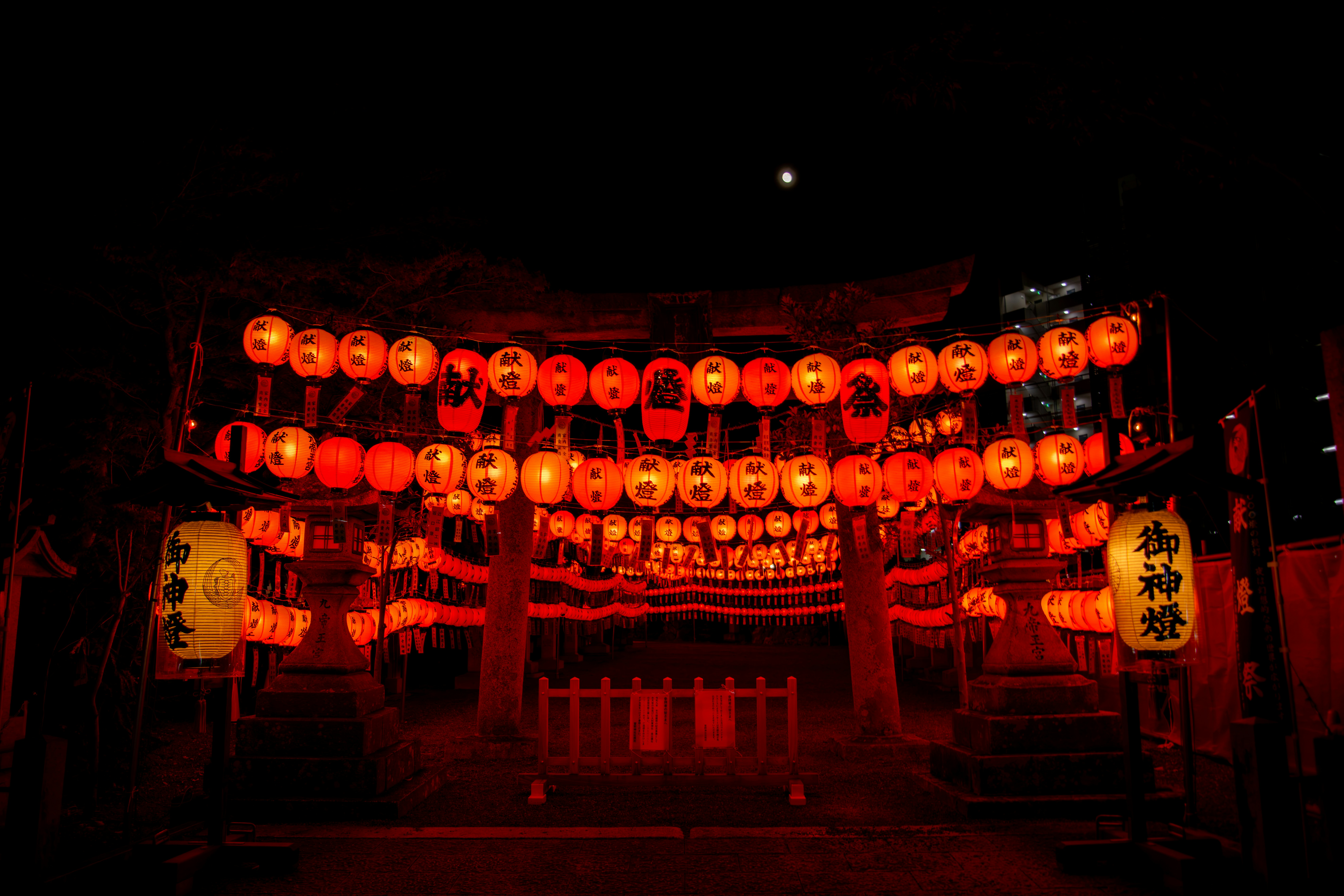 Lantern Gate: Red Orbs Guiding the Night Festival