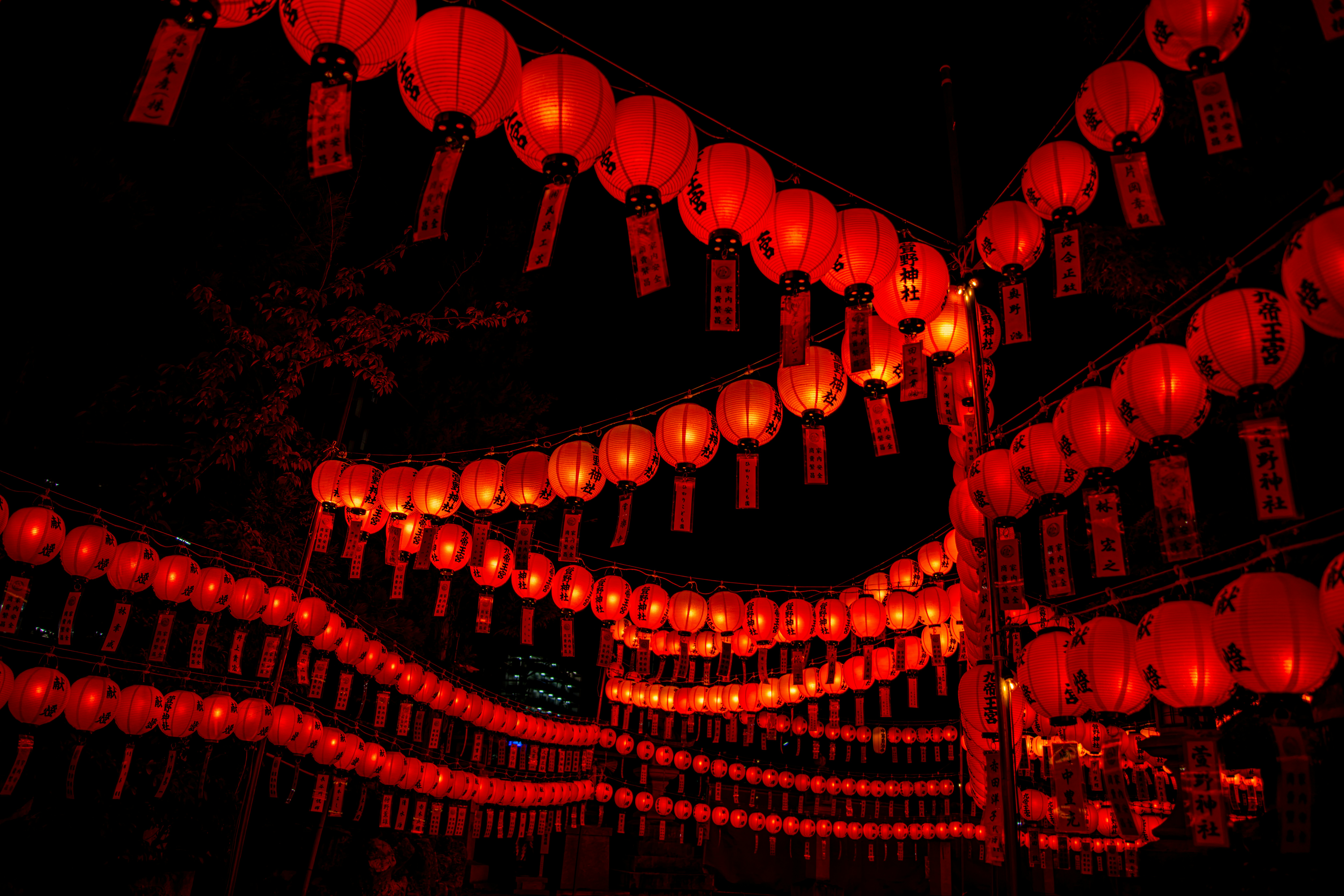 Lantern Grid in Scarlet Night