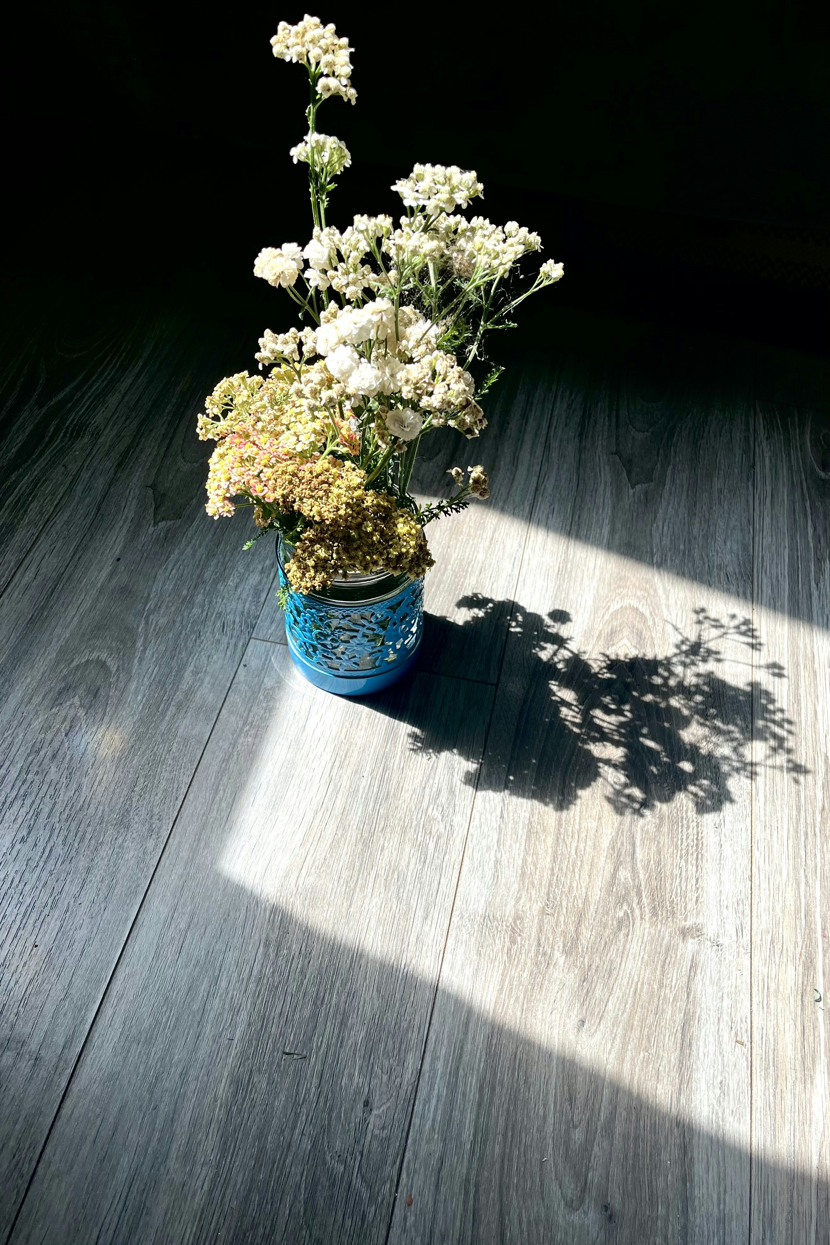 Sunlit Blue Vase of Dry Flowers Casting a Sharp Shadow