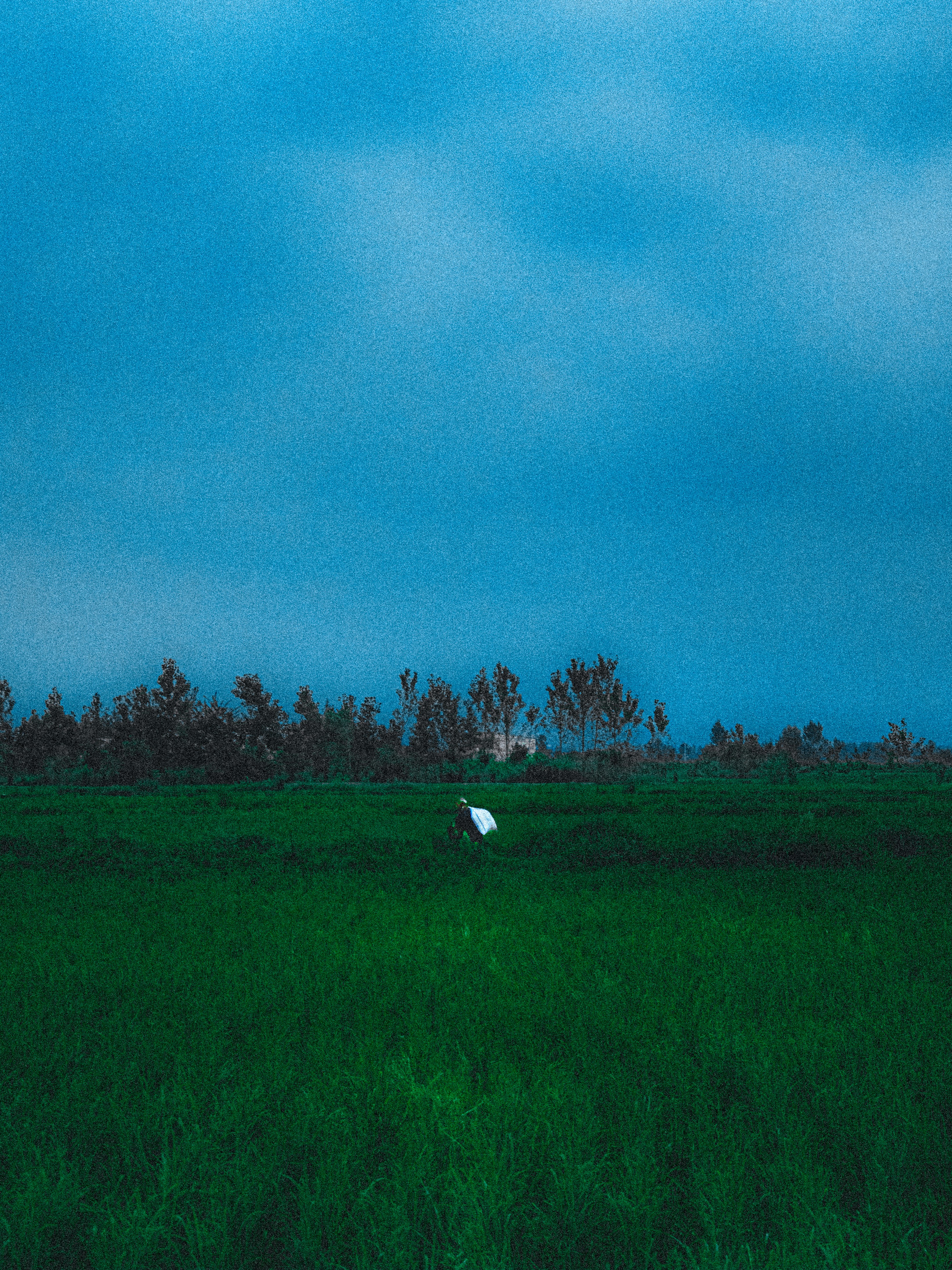 A lone figure working in a lush green field under a wide blue sky, with distant trees along the horizon.