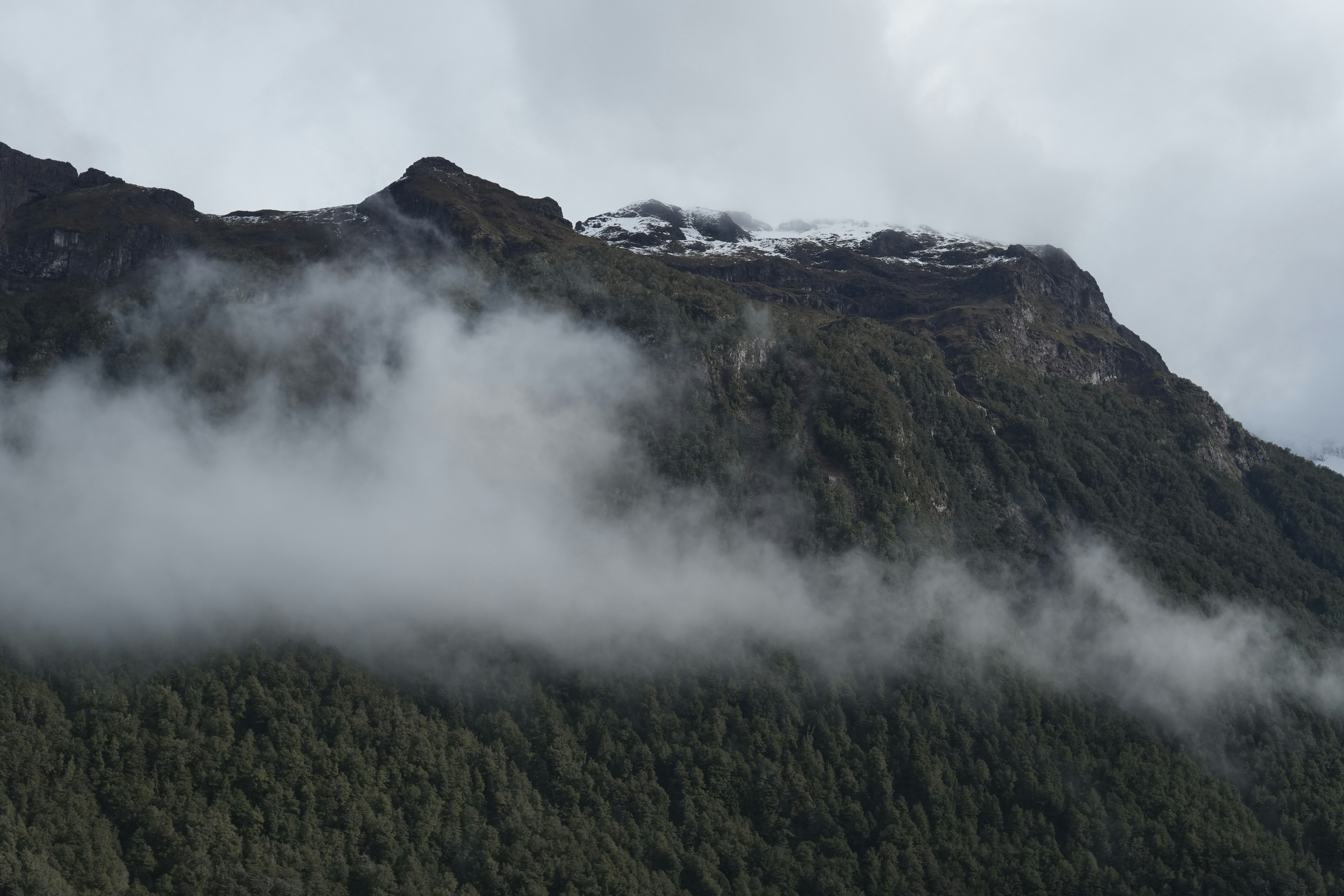 Clouds Glide Over a Rocky Ridge Shrouded in Forest