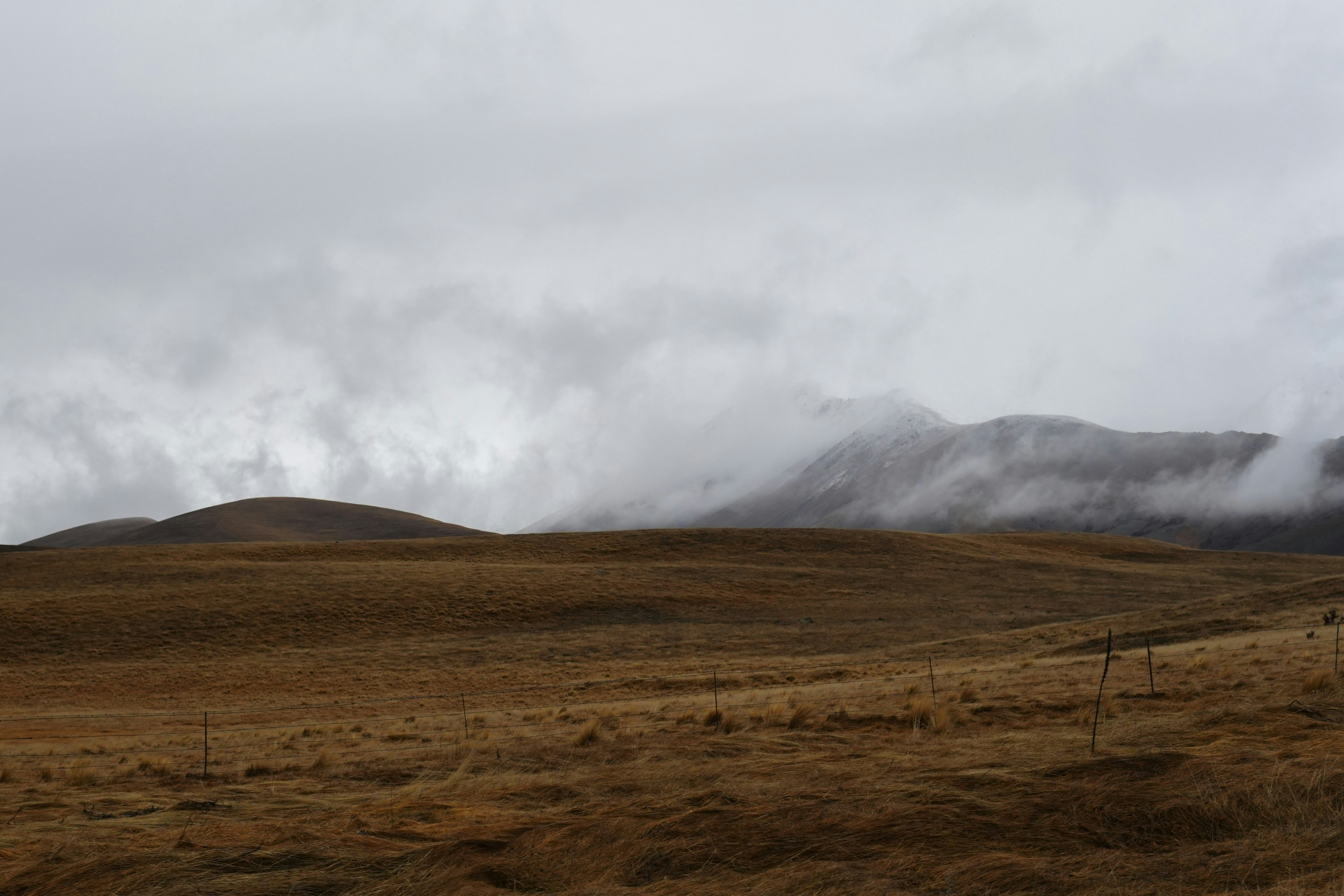 Mist over the Moor: A Quiet Ribbon of Fences beneath Low Clouds