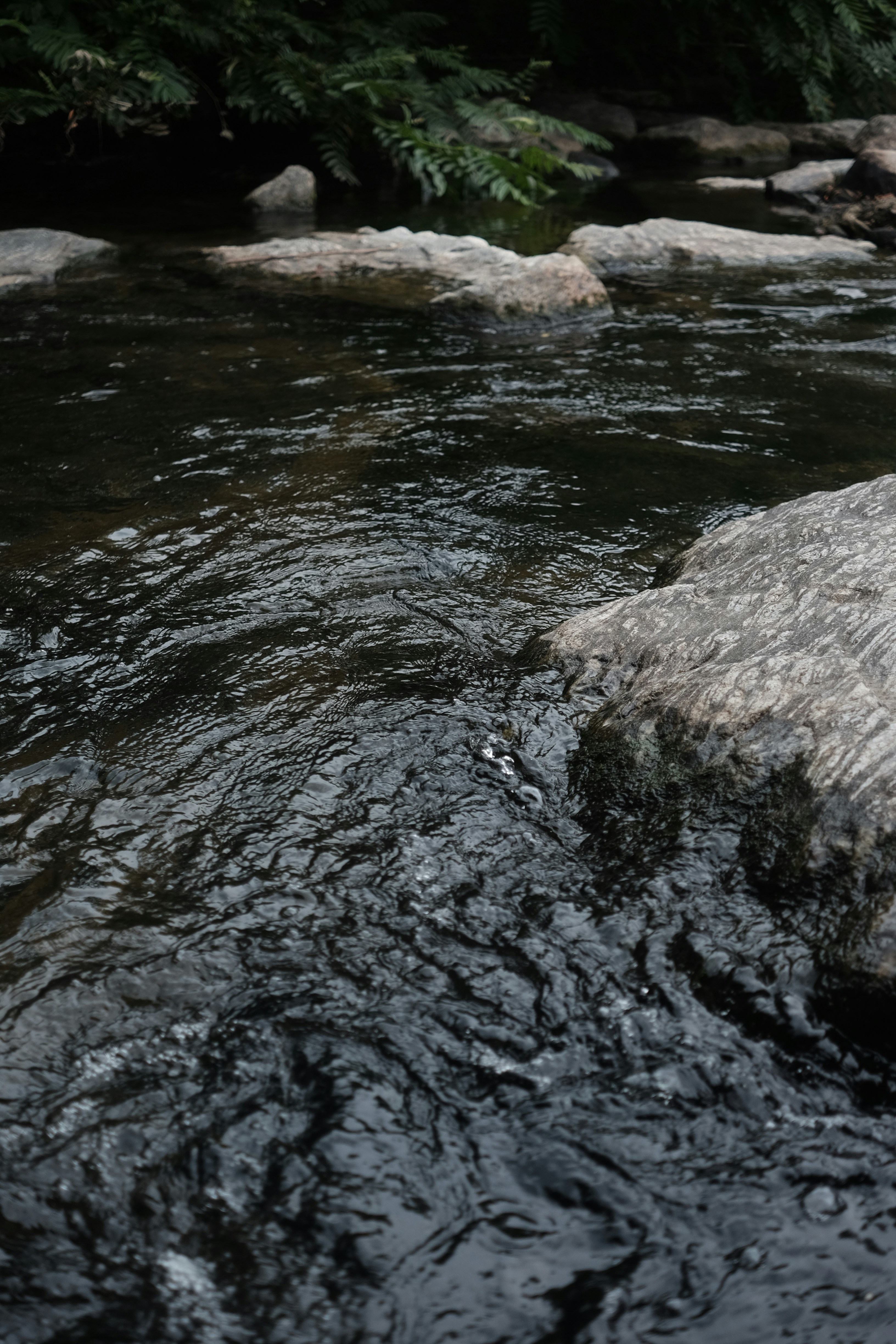 Rushing Stream over Weathered Rock – Quiet Forest Edge