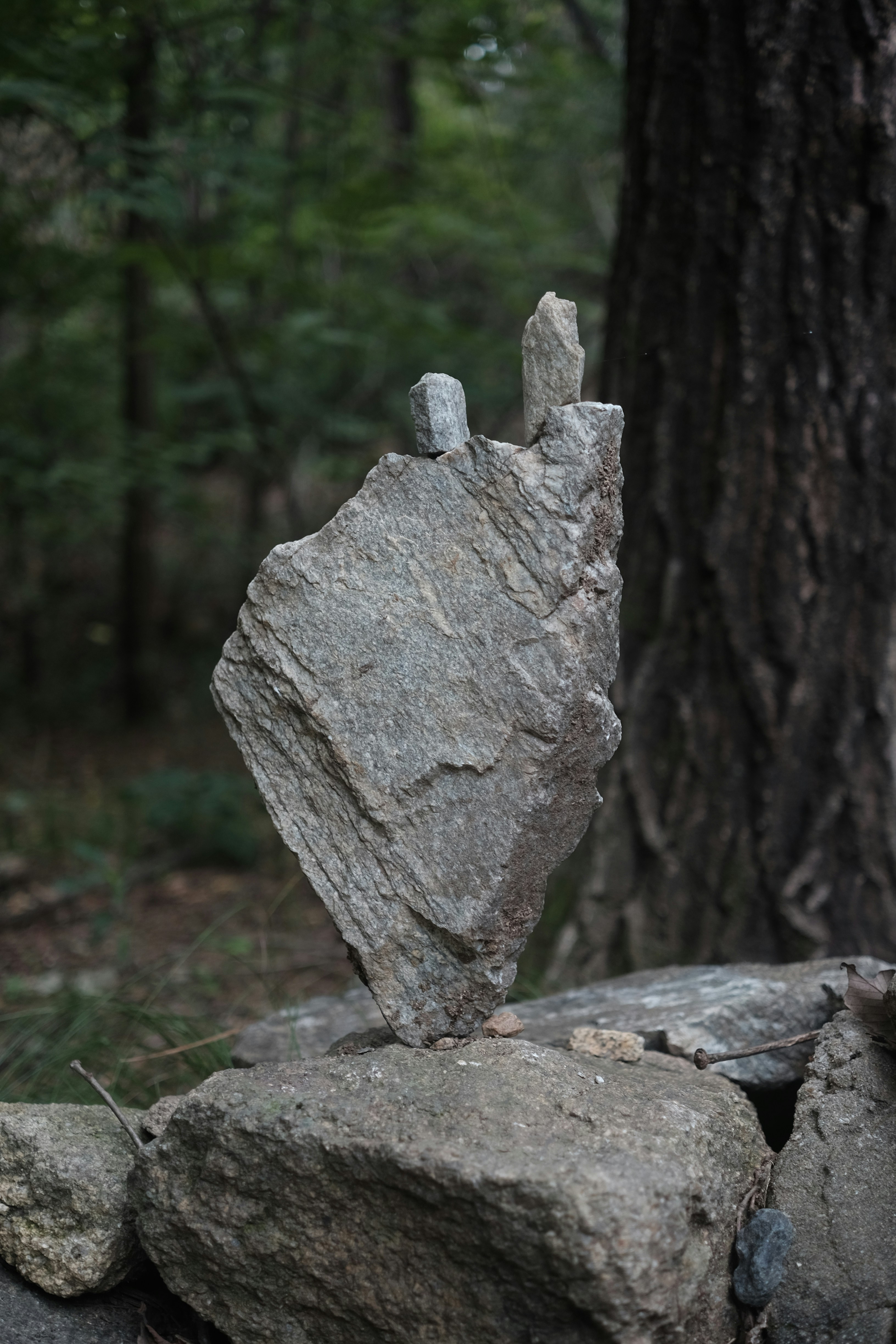 Stone Balance: Two Peaks Guard a Quiet Forest