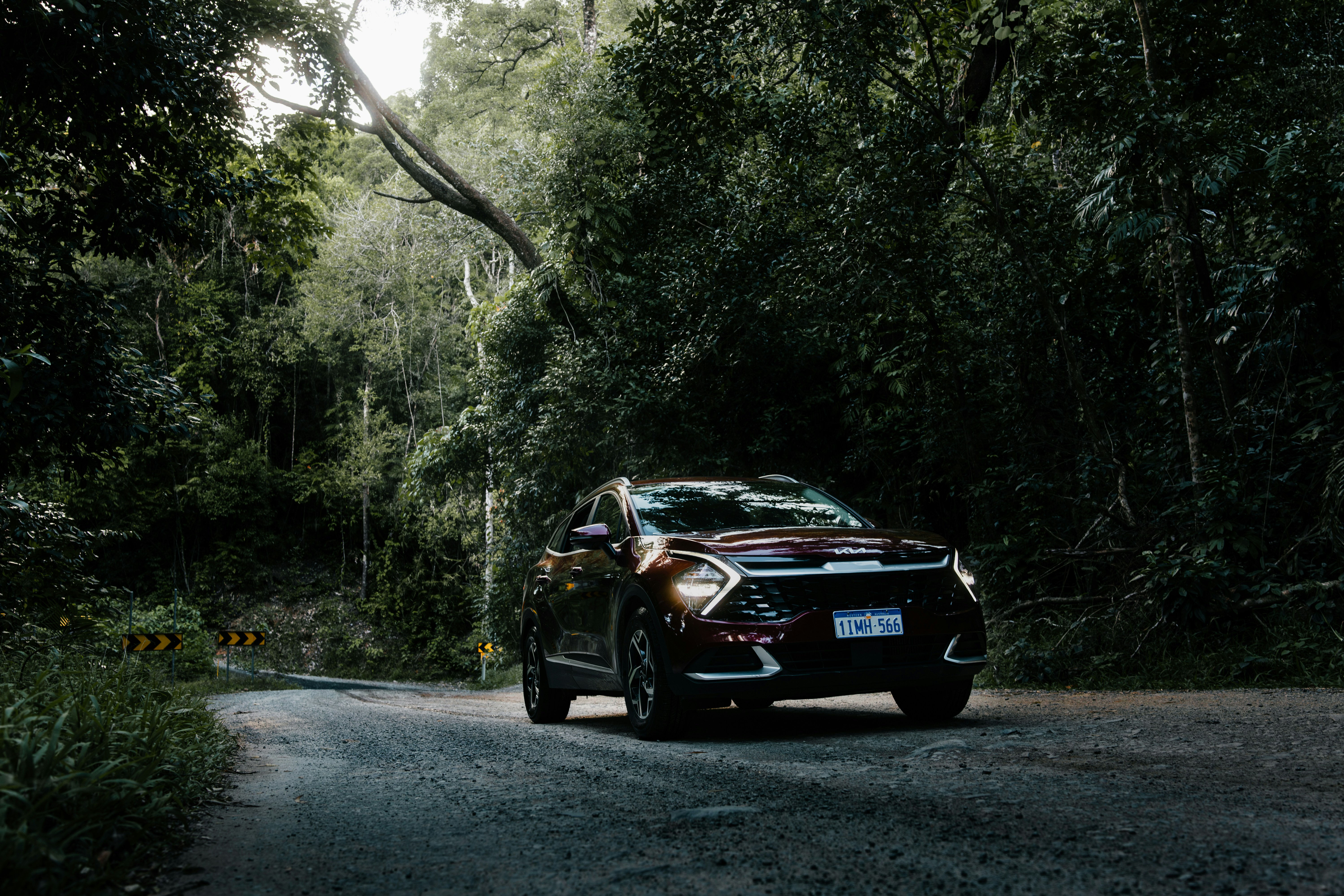 Midnight Drive: A Red SUV Streaks Through a Forested Road