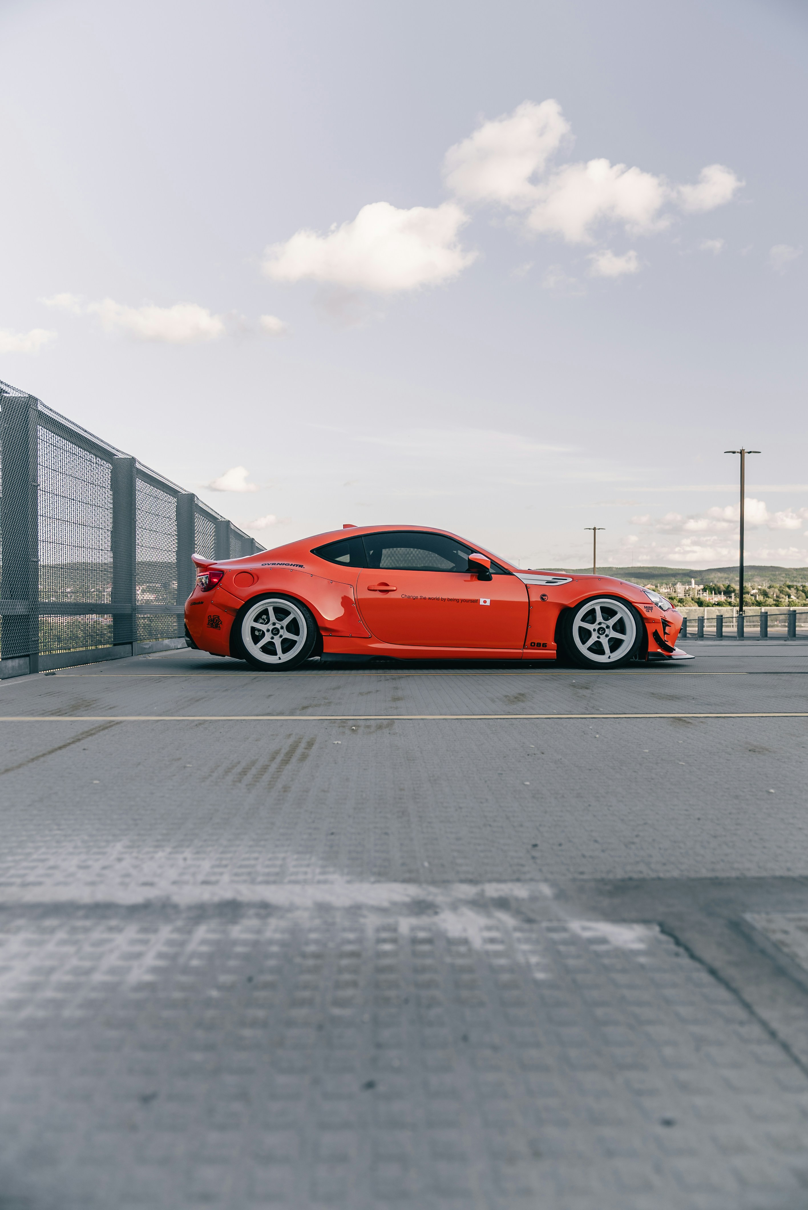 Red Contender on a Quiet Panorama