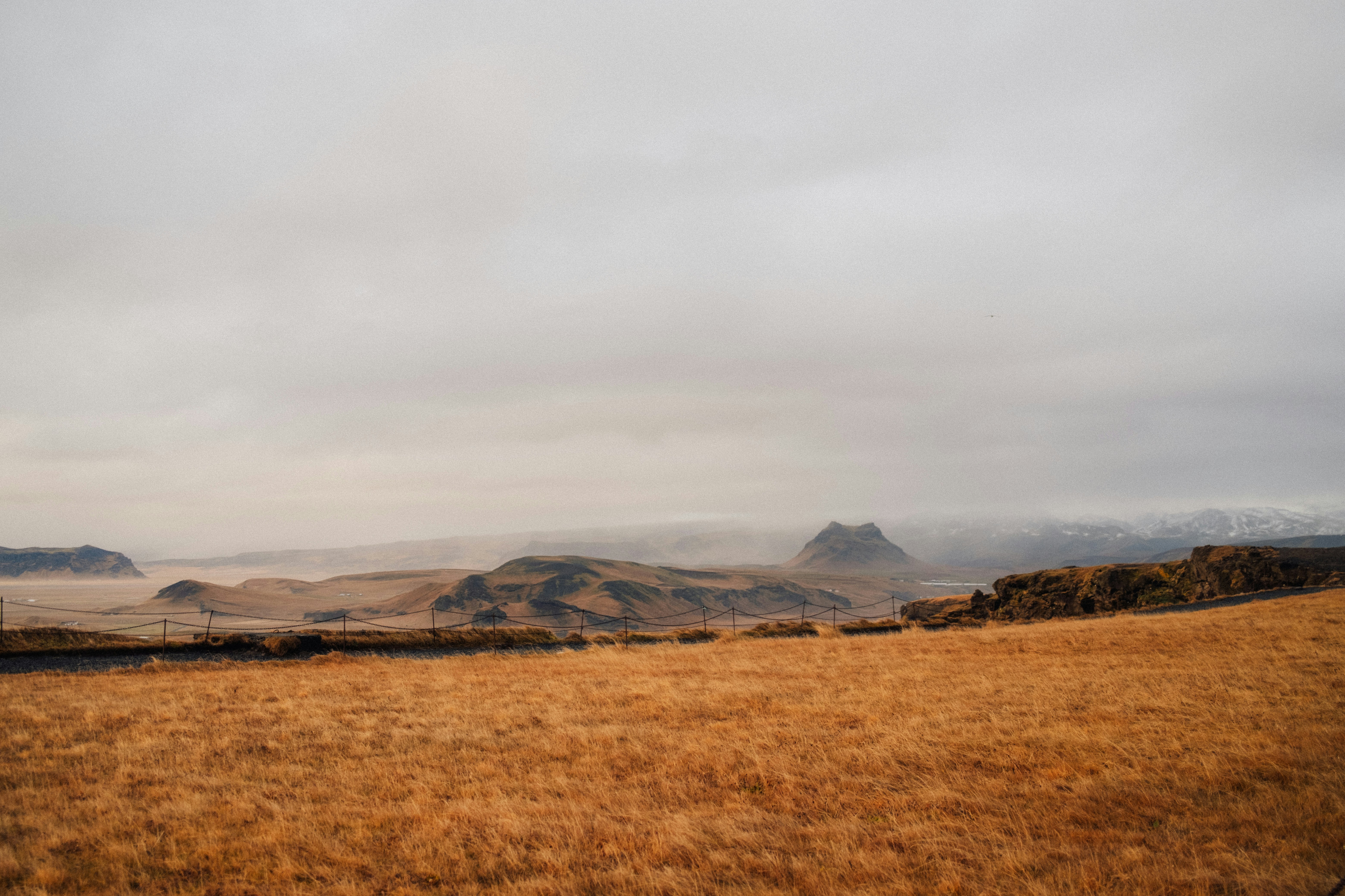 Golden Moor Under a Quiet Sky