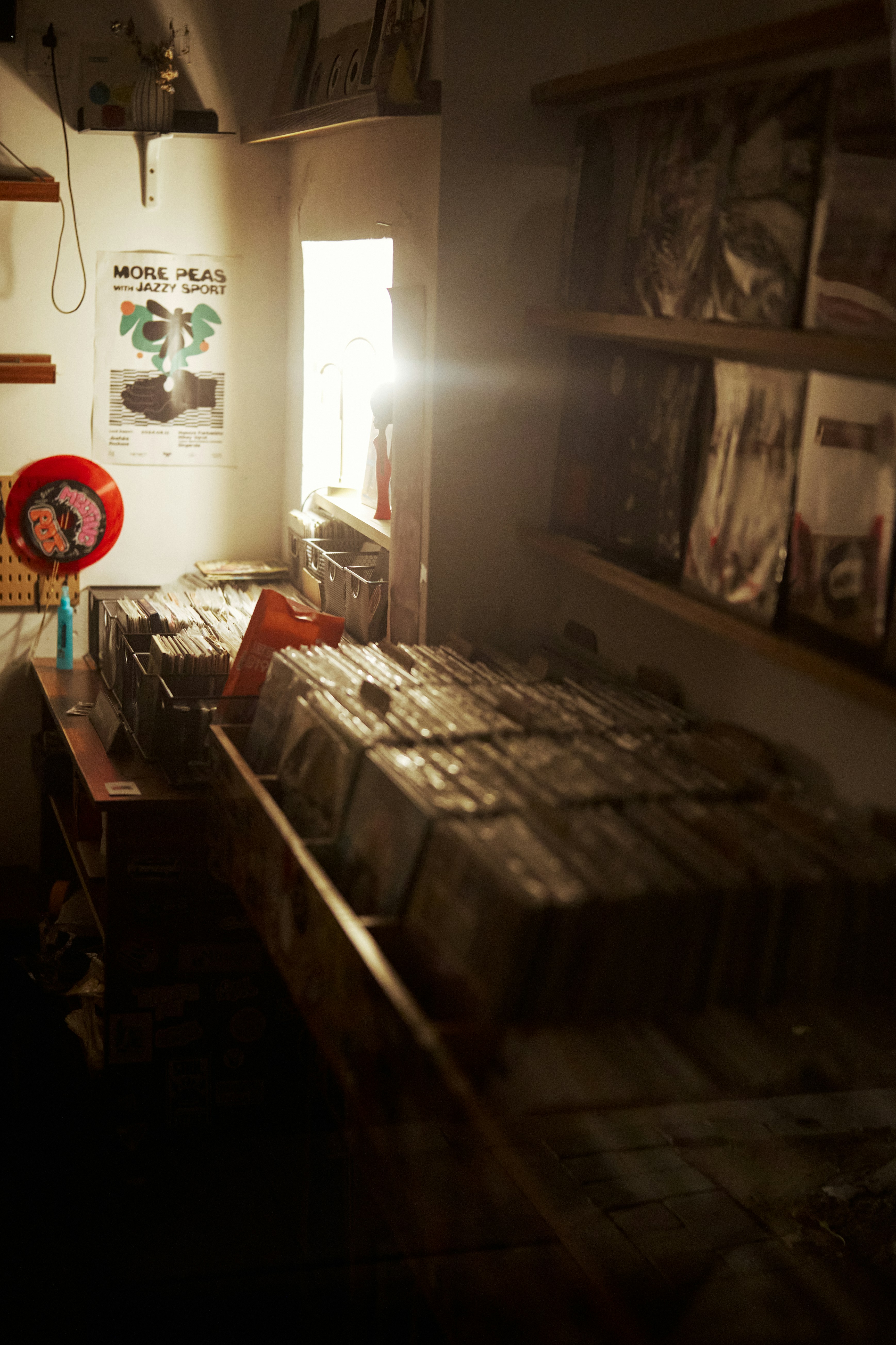 Vinyl Alley at Dusk: Shelves of Echoes
