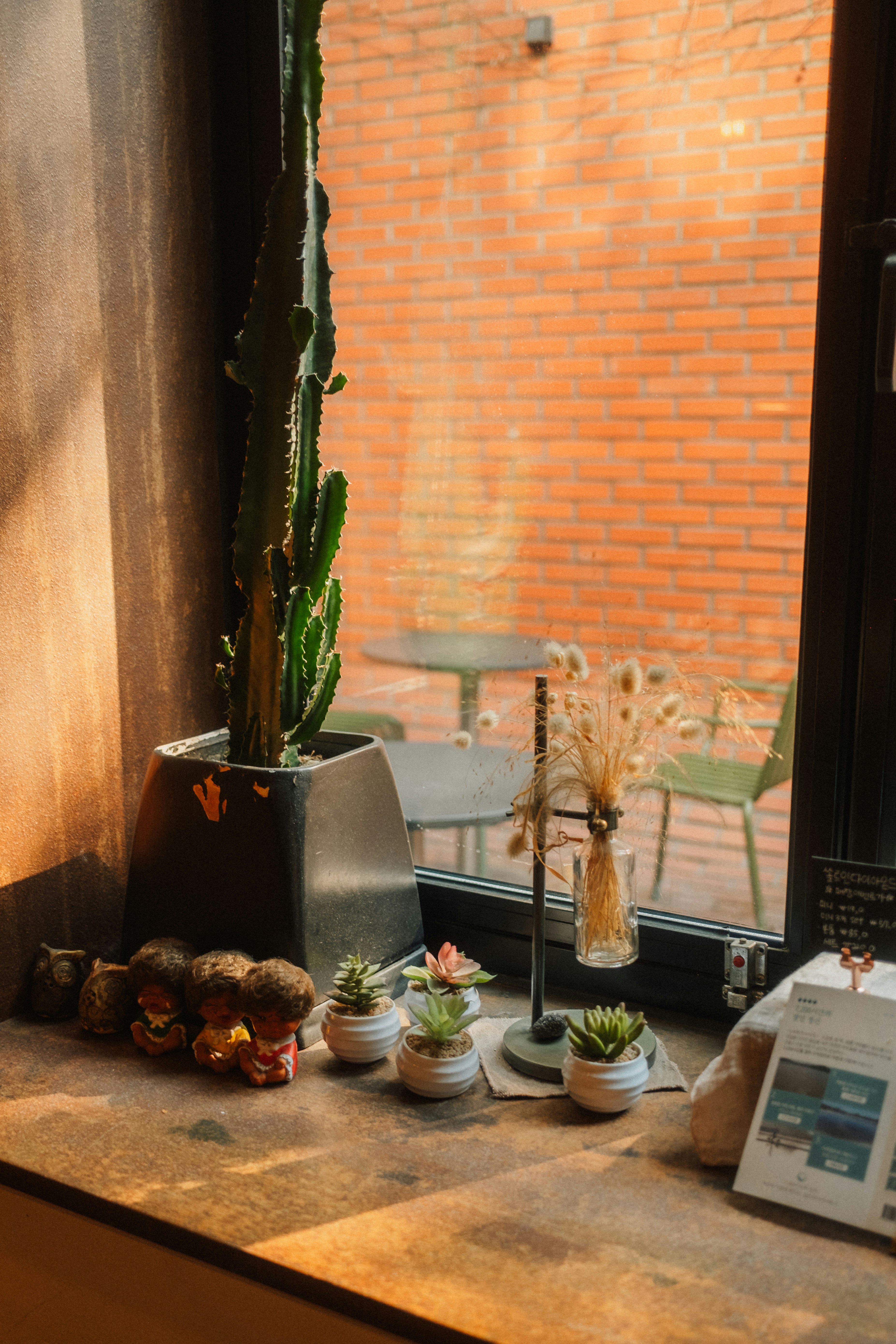 Sunlit windowsill with potted cactus and tiny succulents