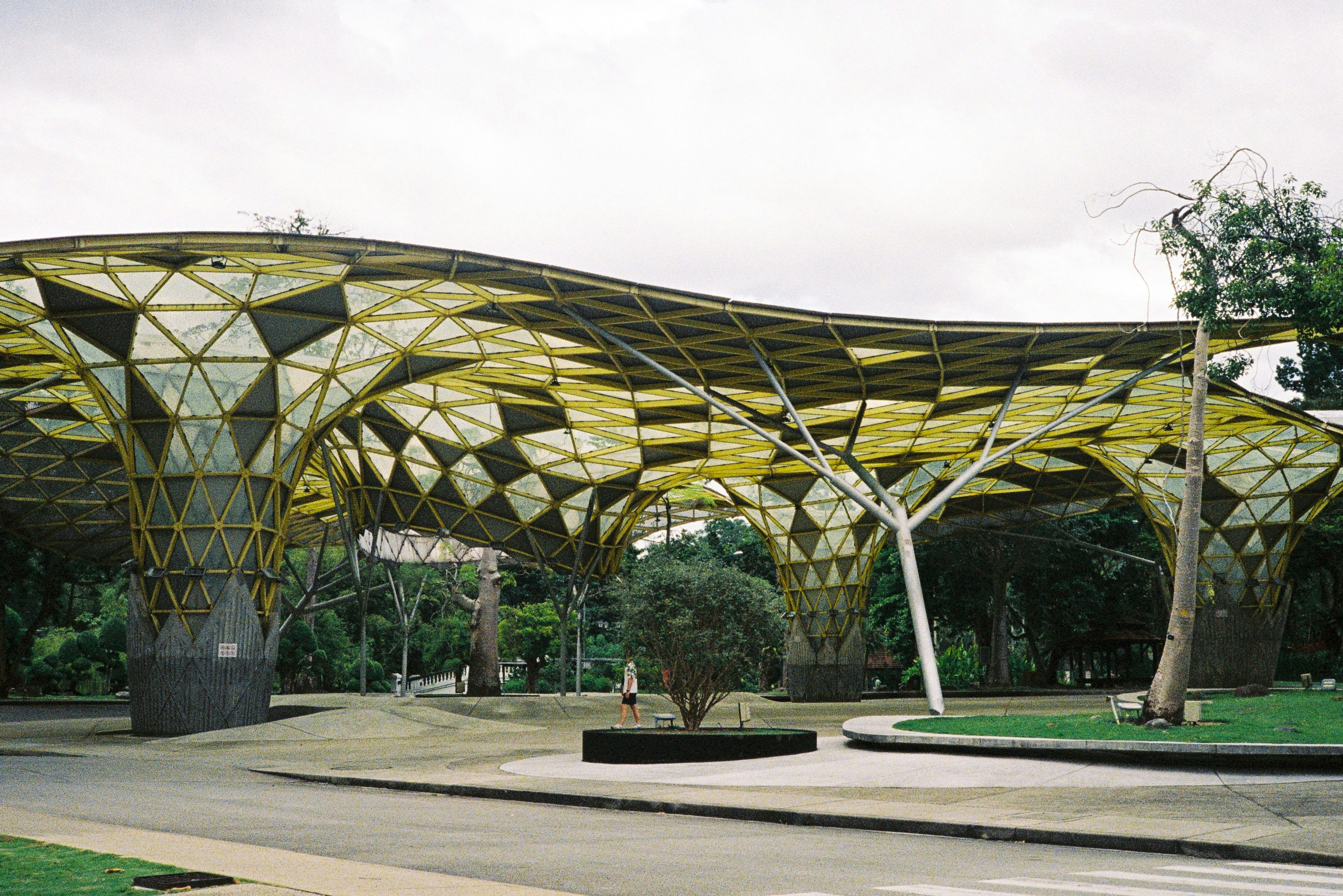Geometric Canopy at Dawn: A Modern Pavilion in Soft Light