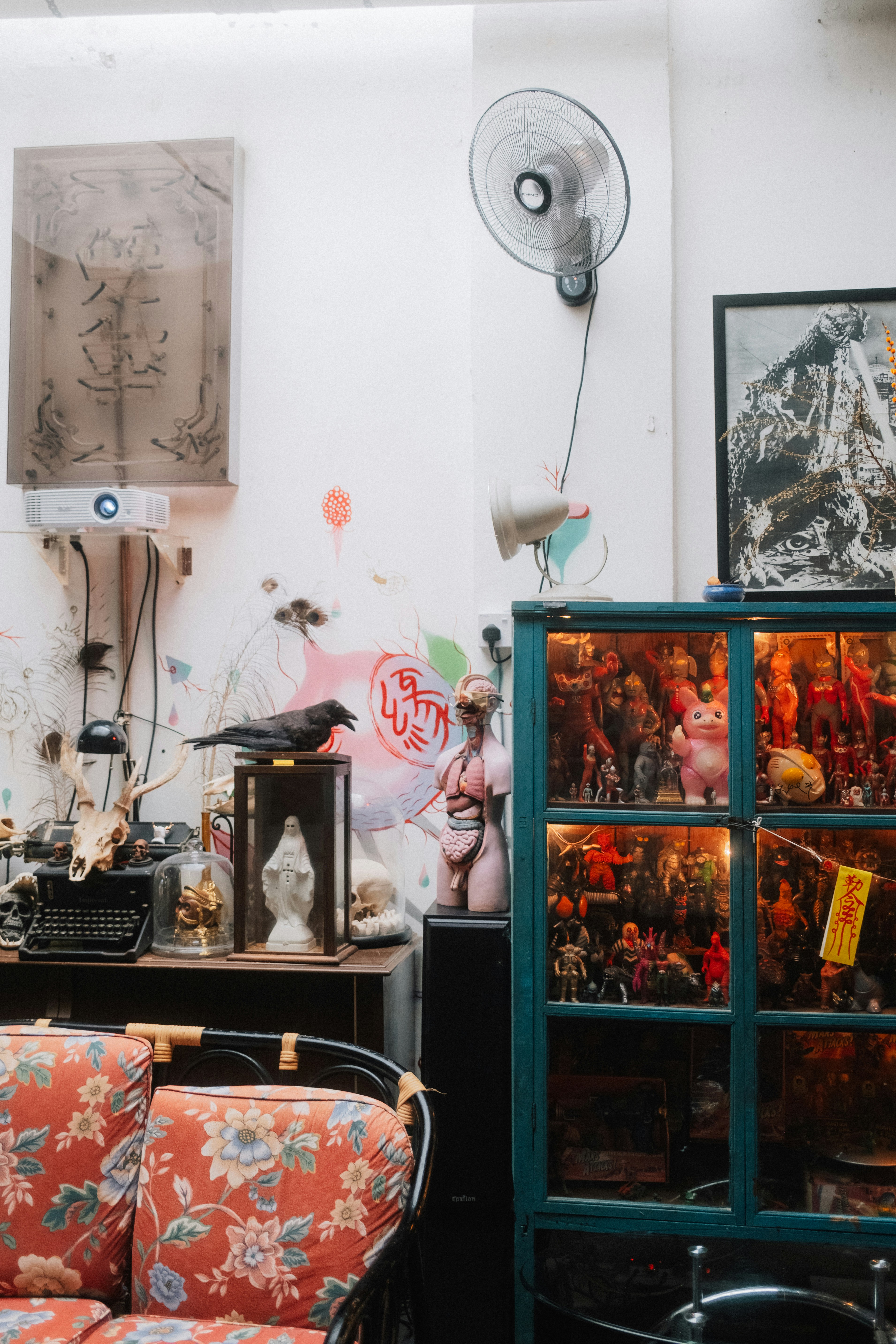 Kaleidoscope of Collectibles in a Quiet Corner