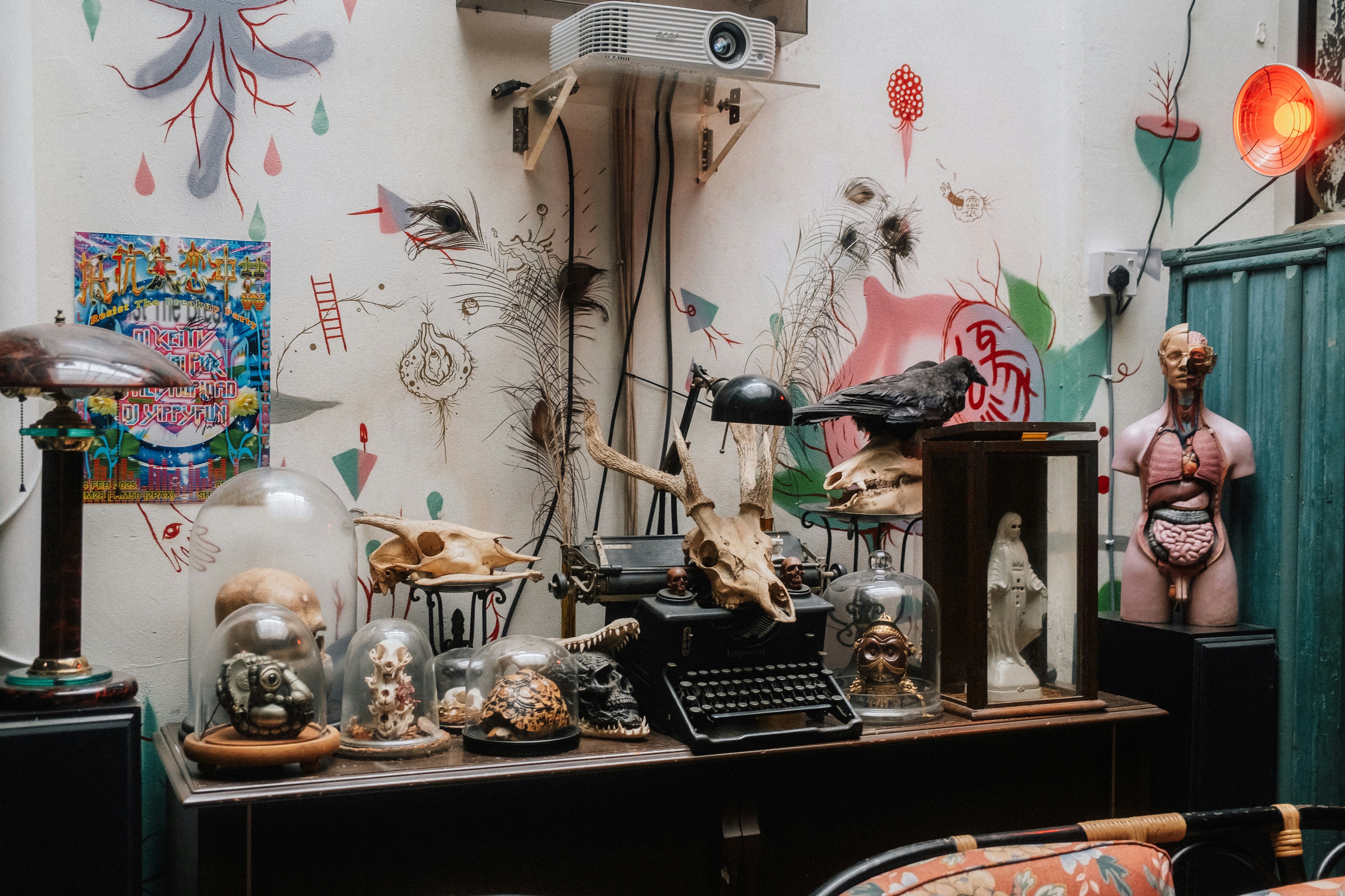 Curio Cabinet of Whimsy: A Vintage Labyrinth of Oddities